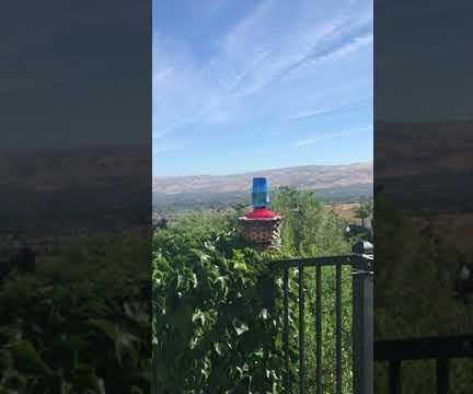 Up-class a Broken Hummingbird Feeder : 5 Steps (with Pictures ...