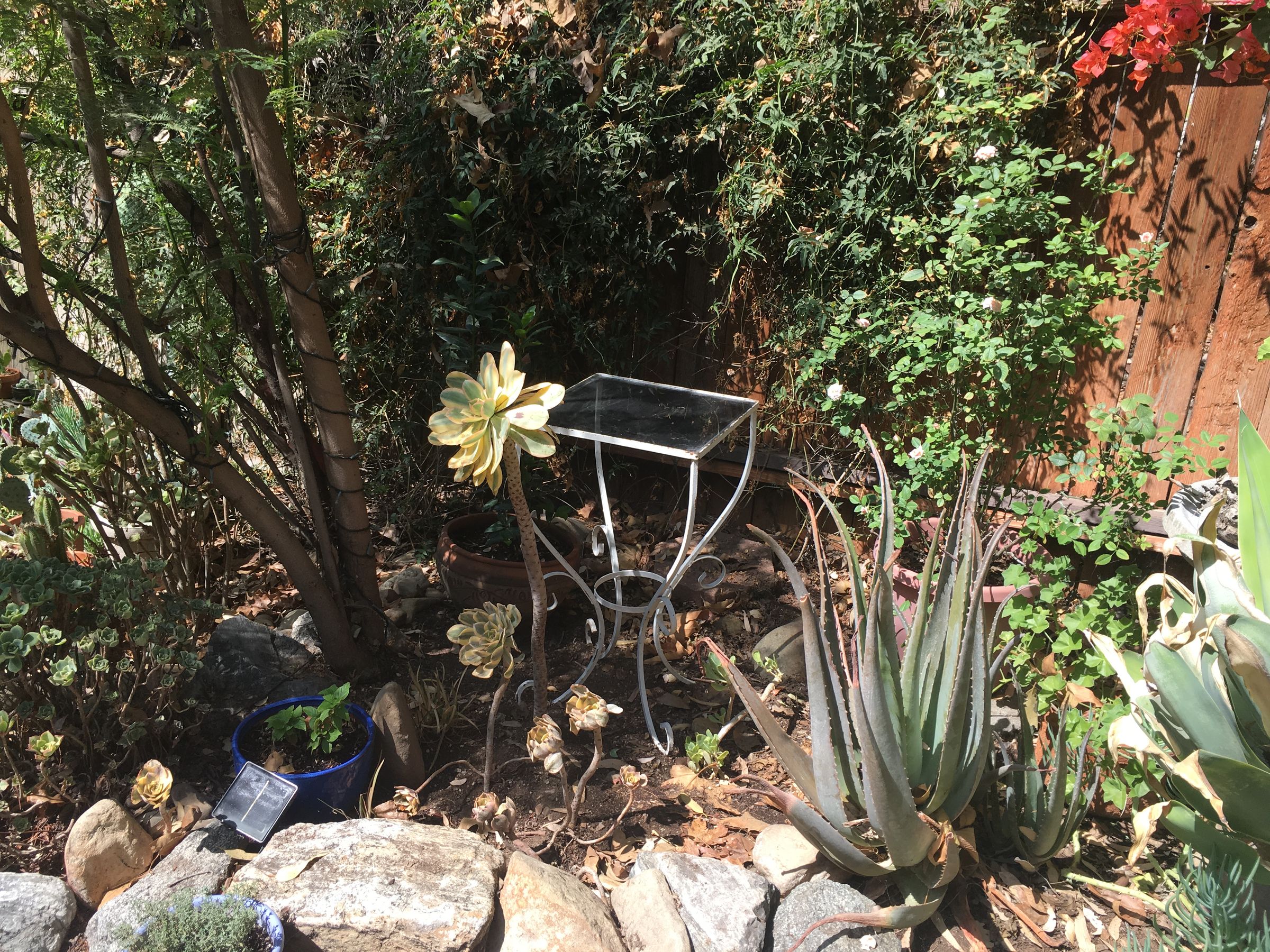 English Breakfast Tea Floating Fountain : 8 Steps (with Pictures ...