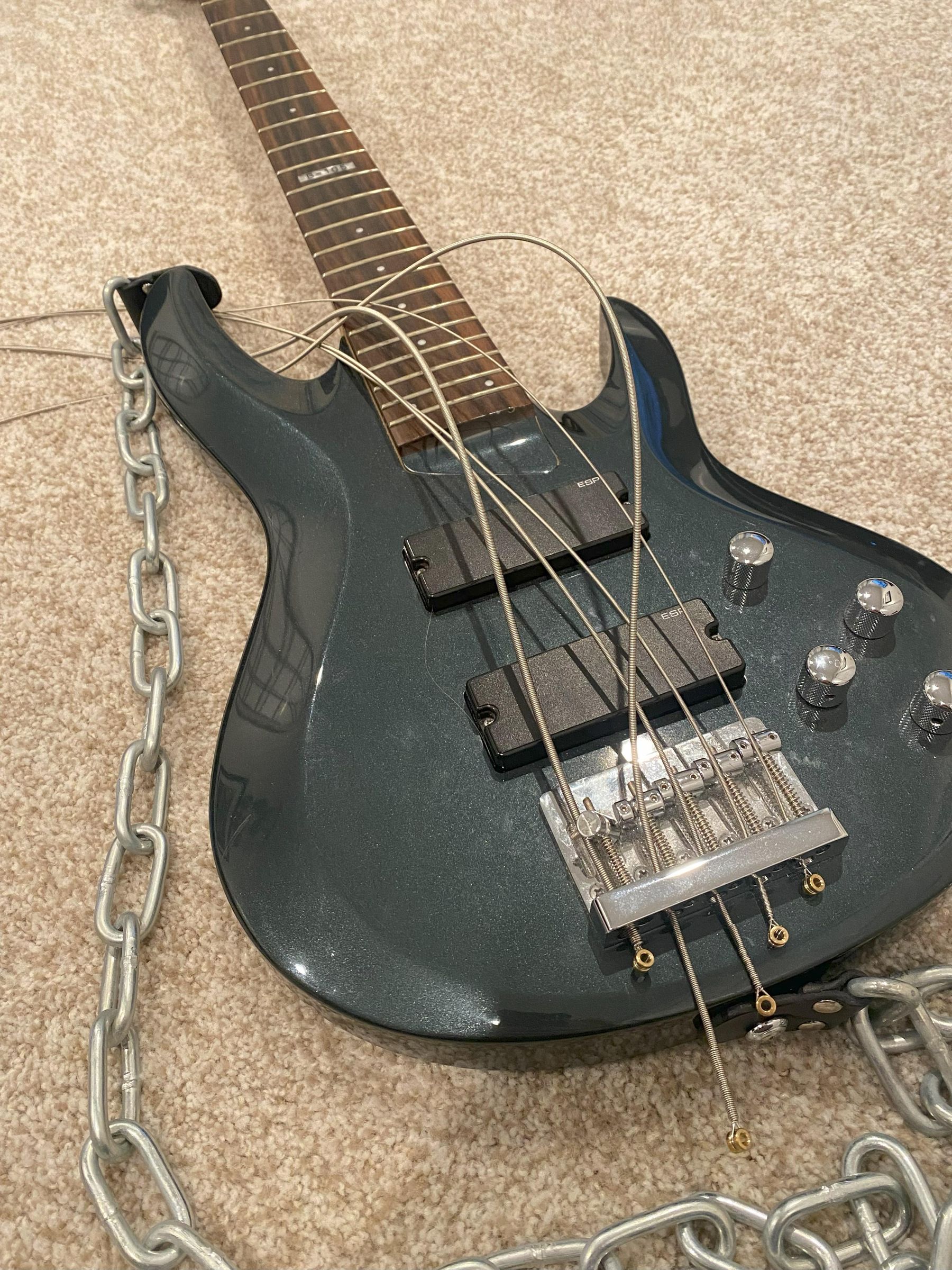 Bass Care 101: the Complete Guide to Basic Bass Care and Maintenance : 7 Steps (with Pictures ...