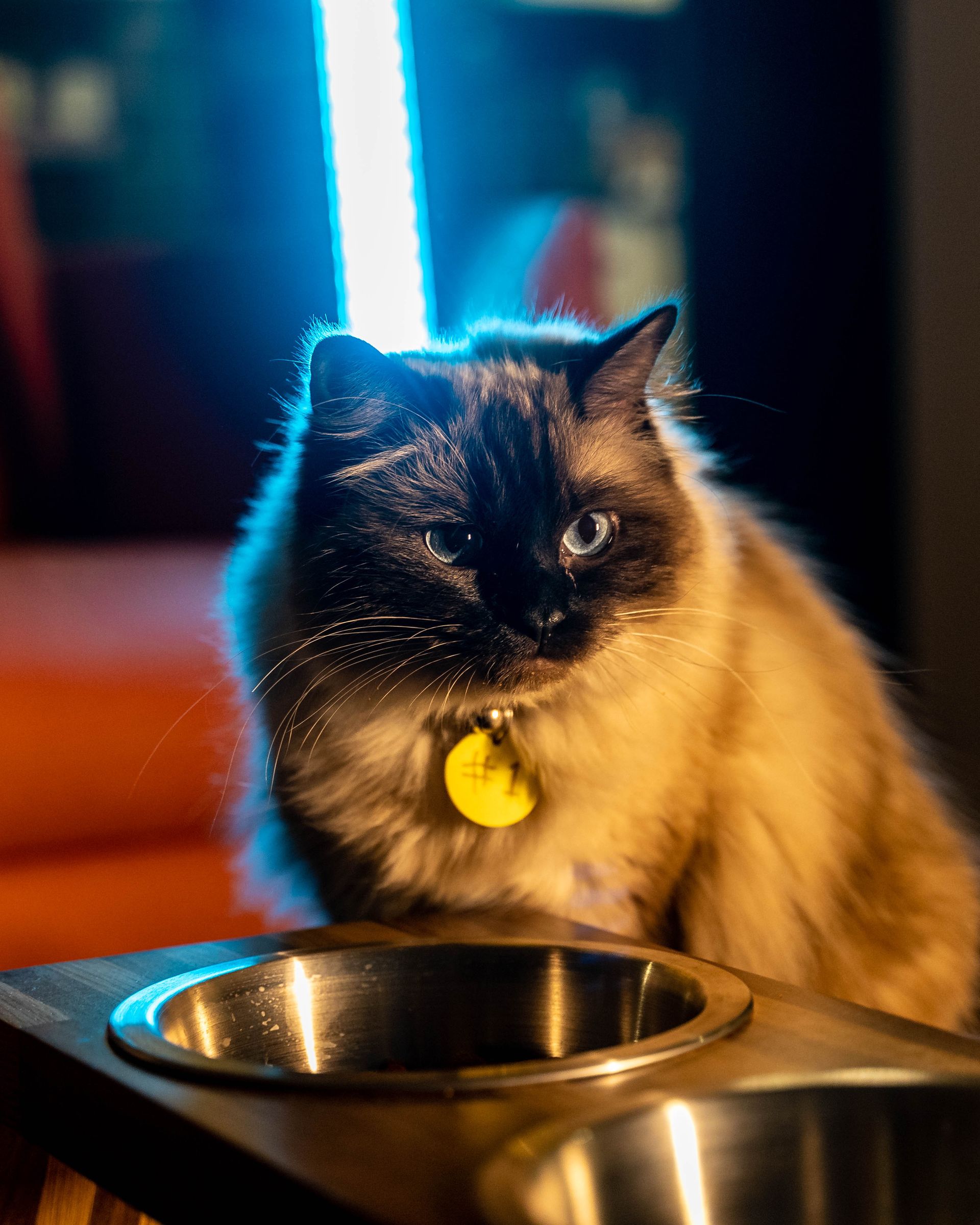 Bing's Dish Holder : 11 Steps (with Pictures) - Instructables