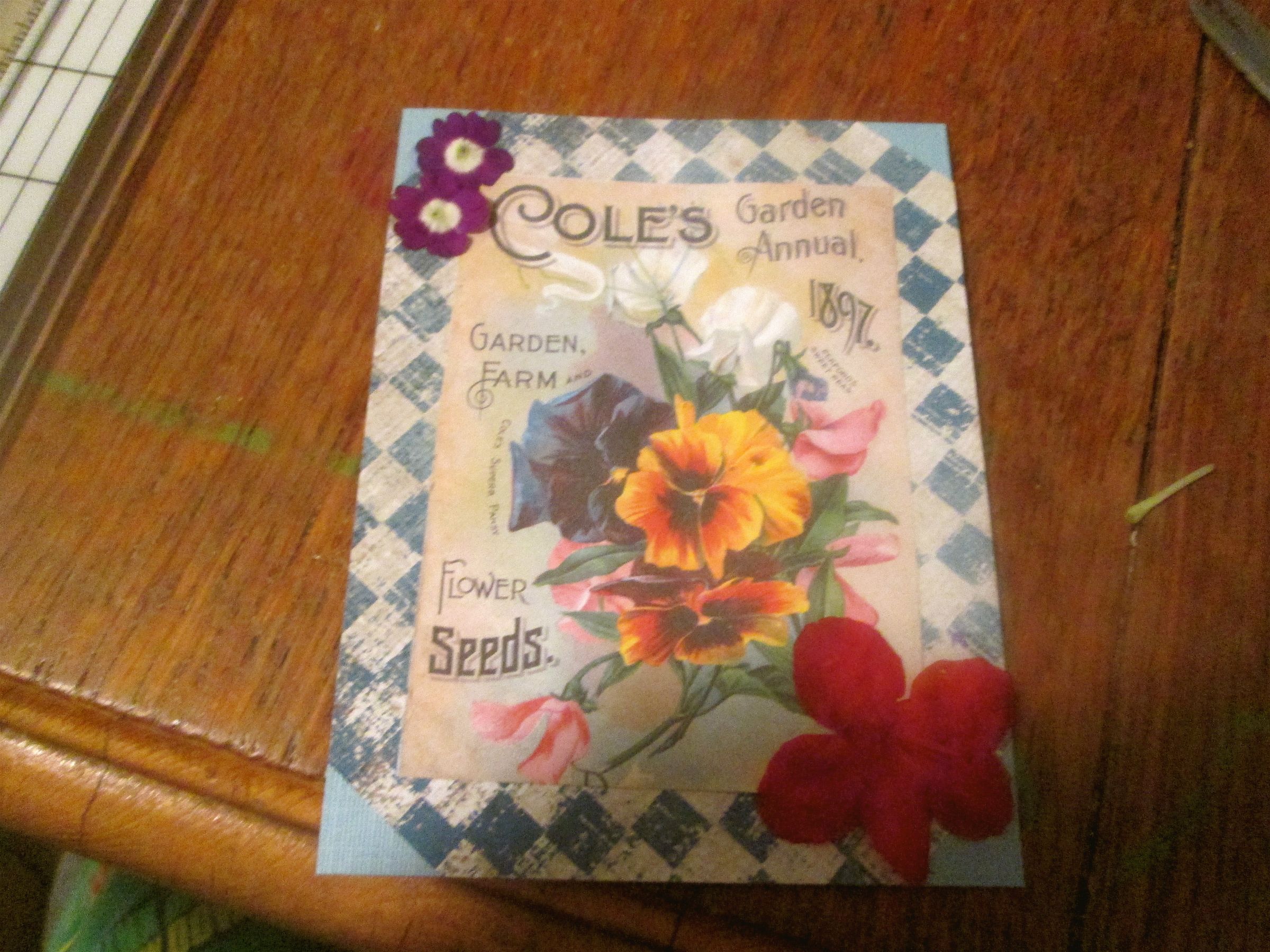 DIY-Seed Packet Bookmarks : 4 Steps - Instructables