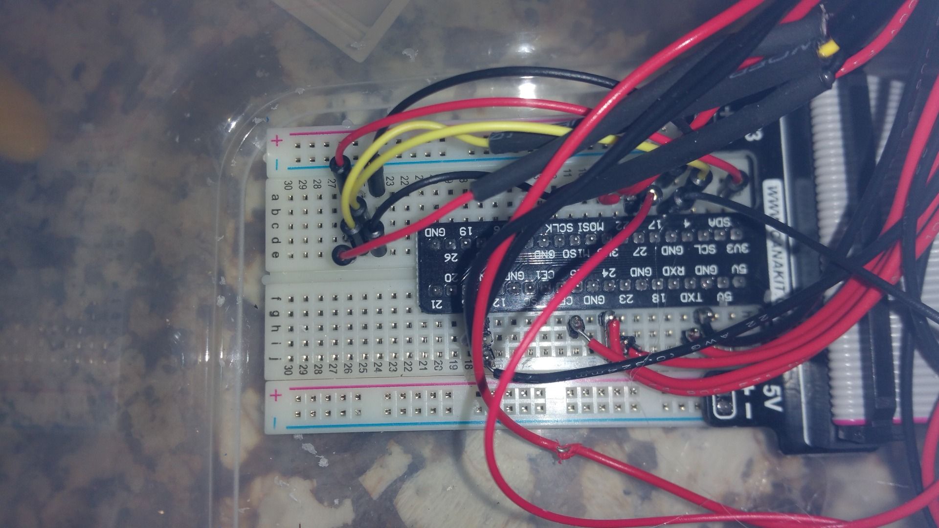 Raspberry Pi Sous Vide WIP : 4 Steps - Instructables