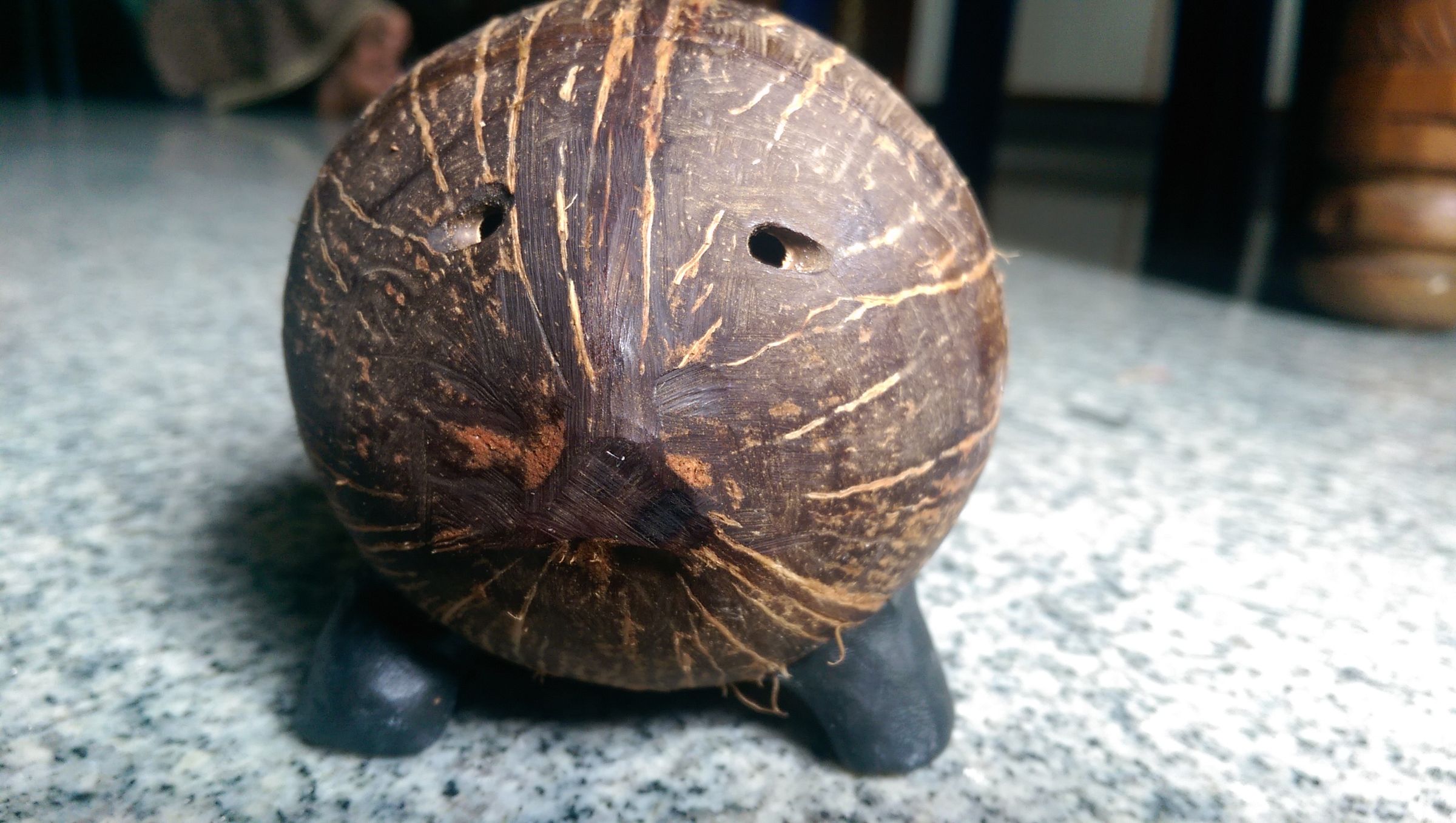Coconut Piggy Bank : 9 Steps - Instructables