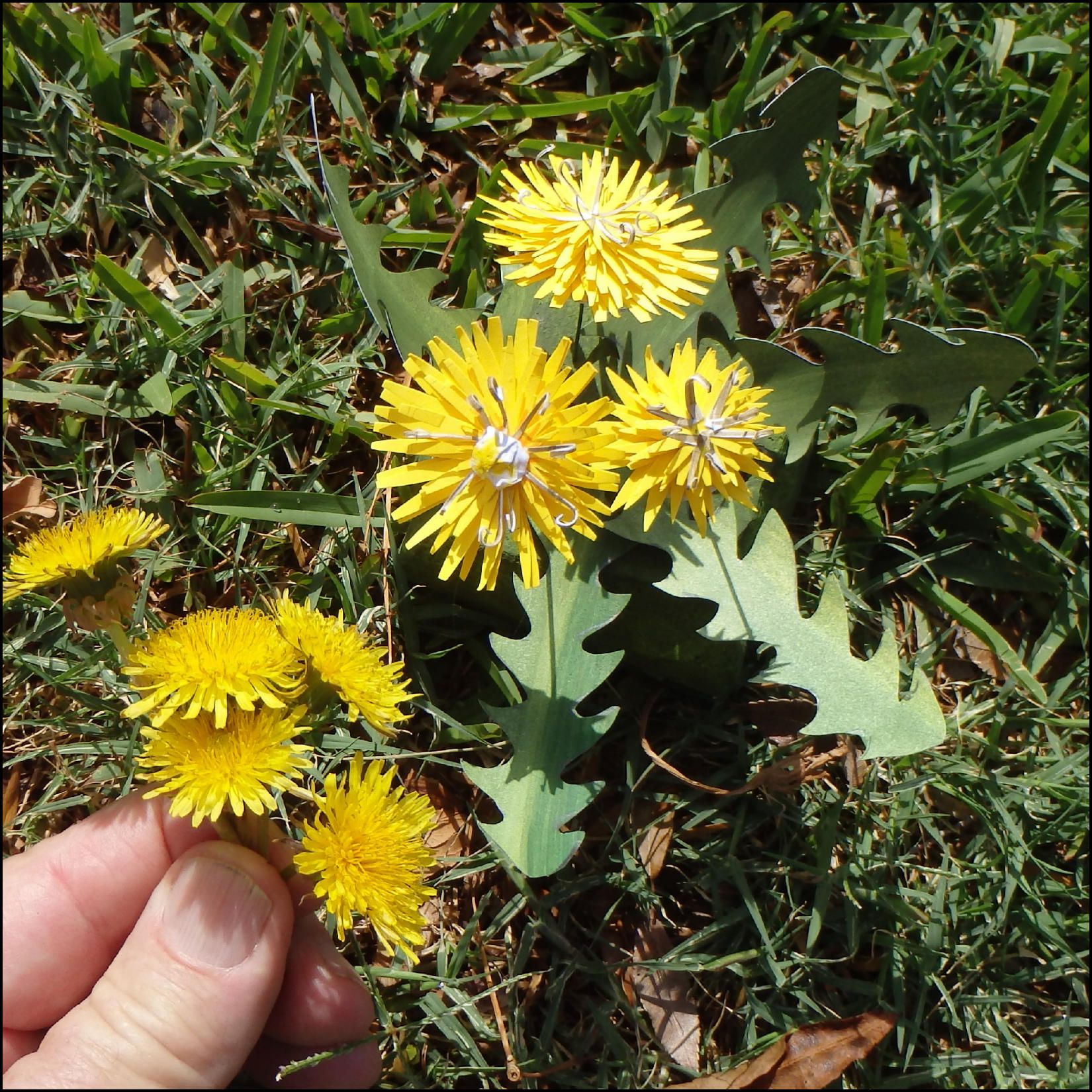 How to Make Paper Dandelions : 6 Steps (with Pictures) - Instructables
