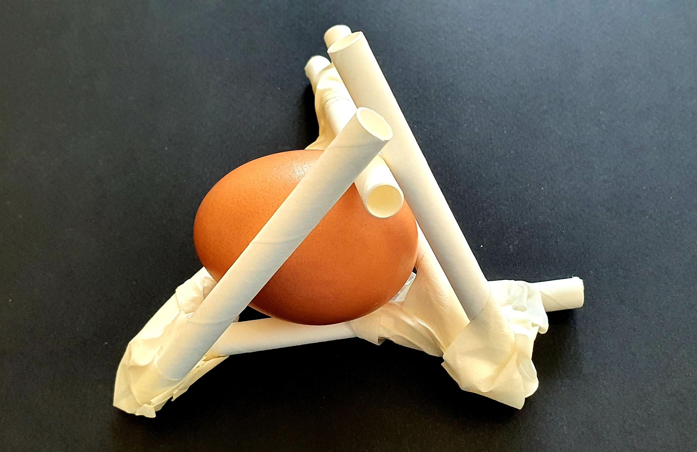 Egg Drop Project