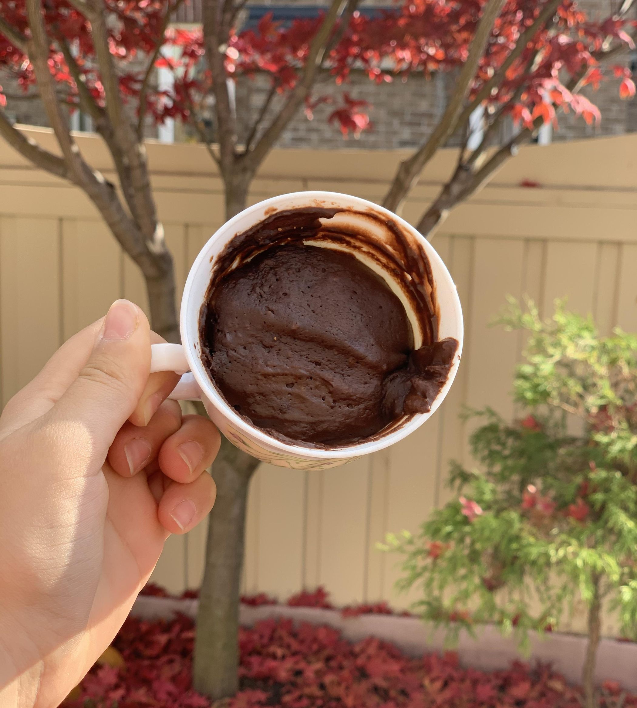 Easy Fluffy Mug Cake : 3 Steps - Instructables