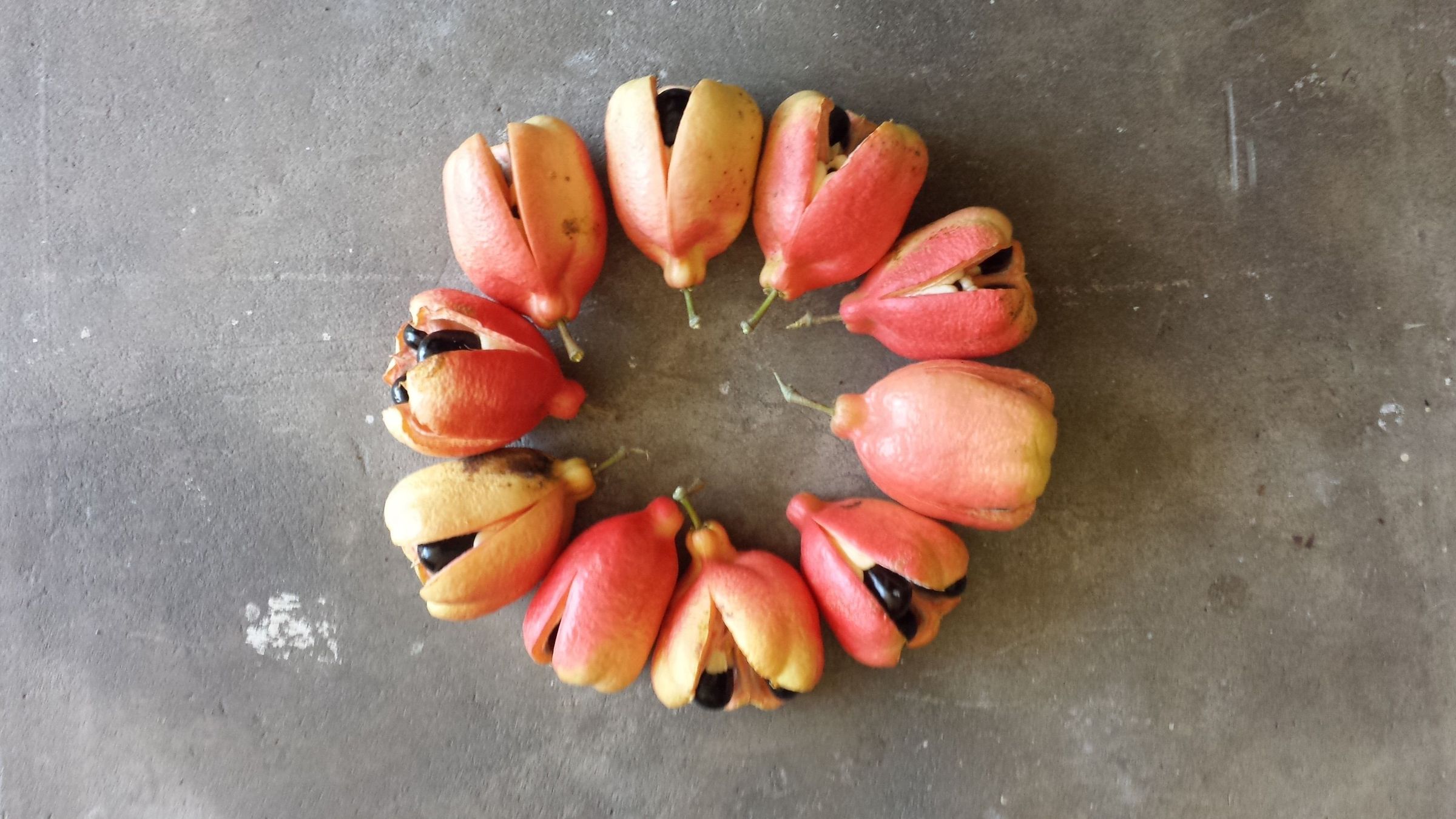 Stir Fry Ackee & Mixed Vegetables : 5 Steps - Instructables