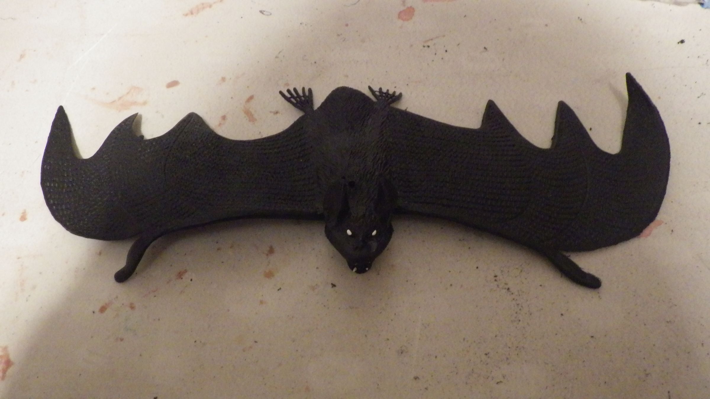 Bat Terrarium : 7 Steps (with Pictures) - Instructables