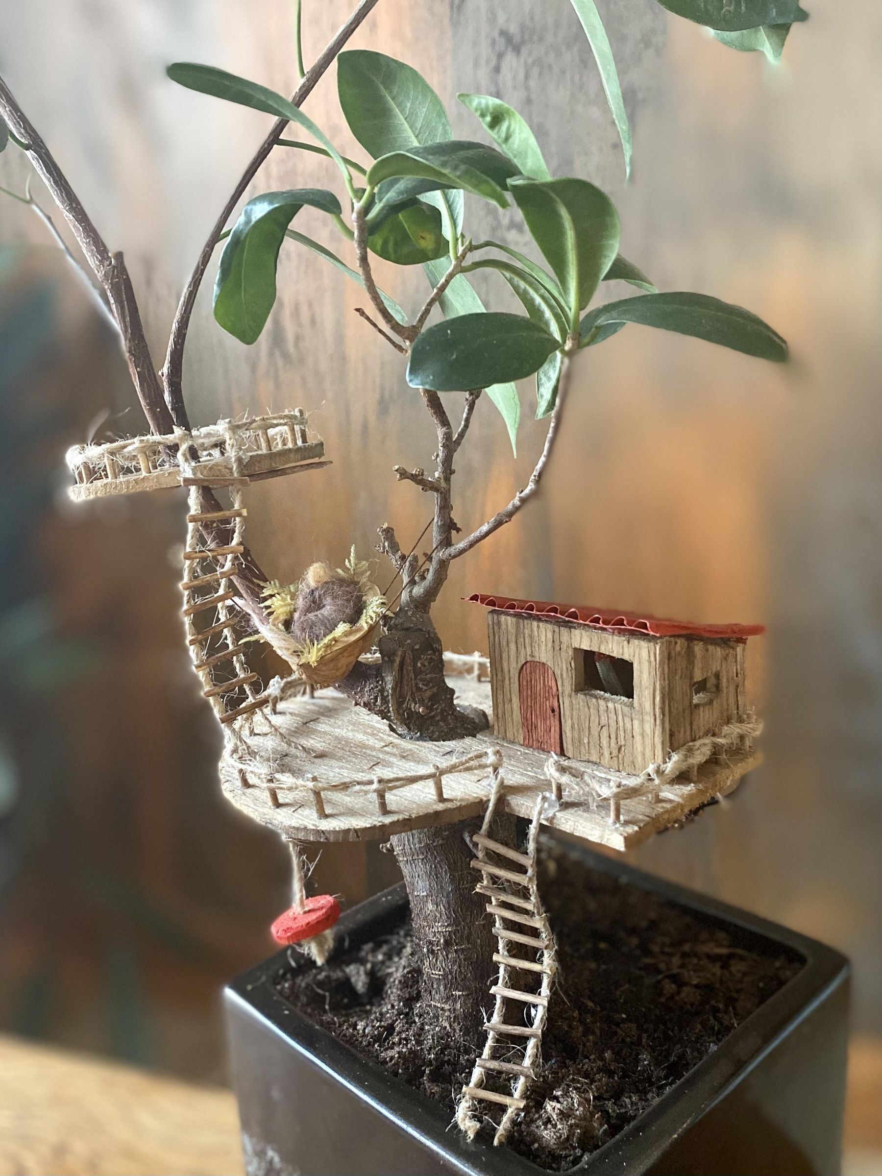 Houseplant Treehouse & Tiny Mouse : 15 Steps (with Pictures ...
