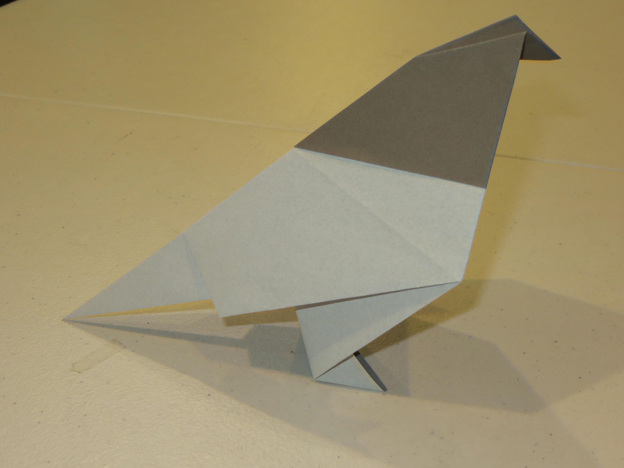 Parrot : 11 Steps - Instructables