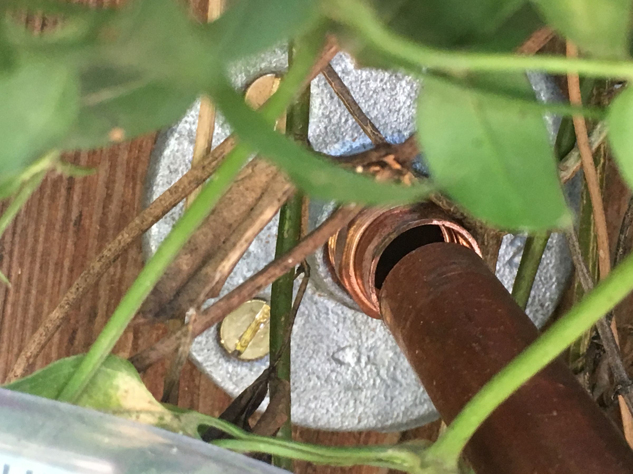 English Breakfast Tea Floating Fountain : 8 Steps (with Pictures ...