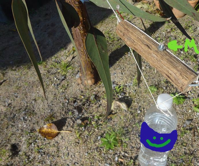 Easy, Hanging Camera Mount : 4 Steps - Instructables