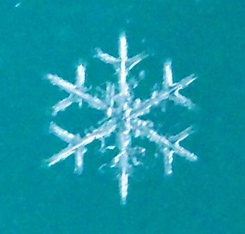 Photograph Snowflakes With a Basic Point-and-shoot Camera : 4 Steps ...