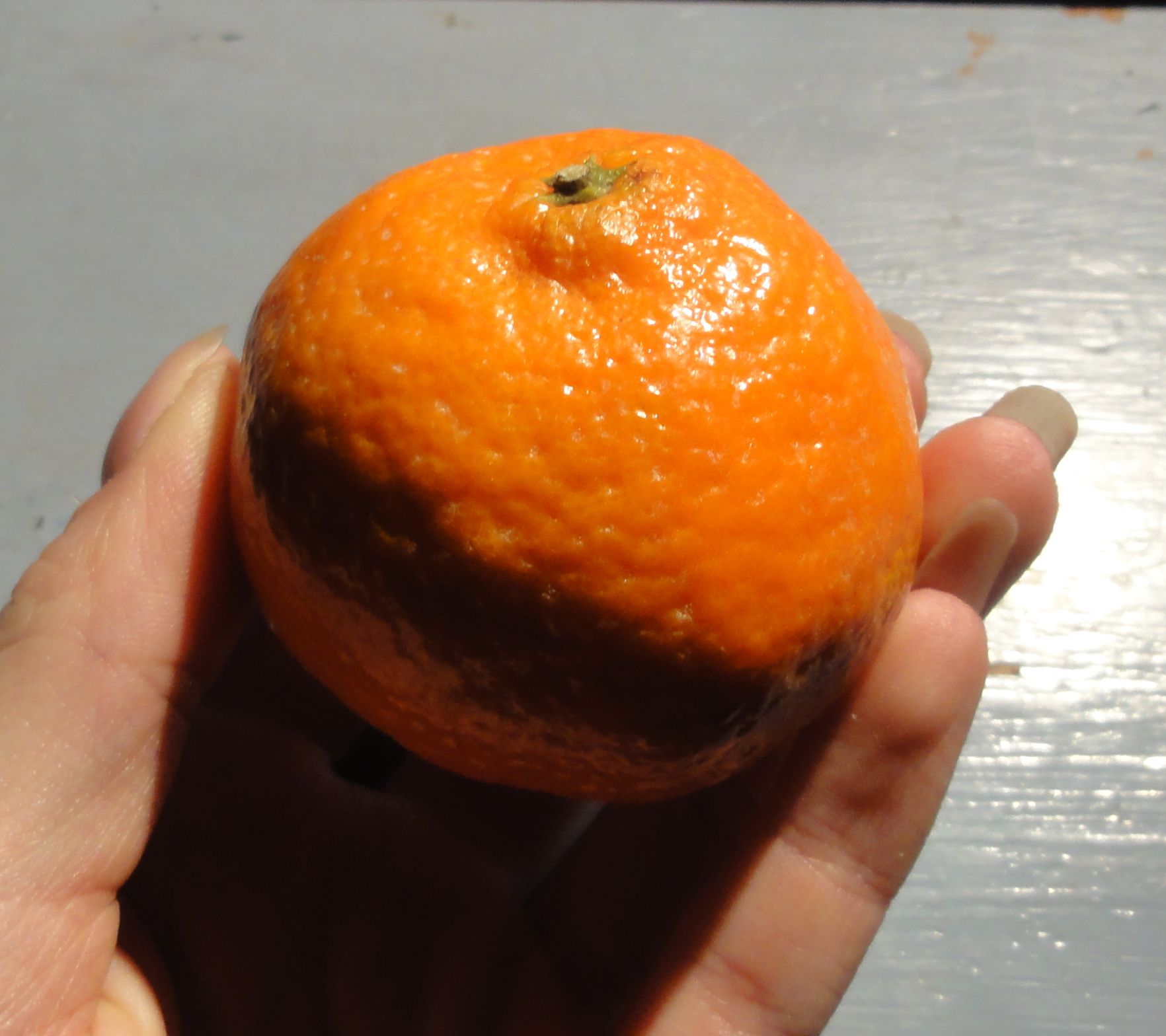 Turn a Clementine Into a Tiny Decorative Basket : 4 Steps - Instructables