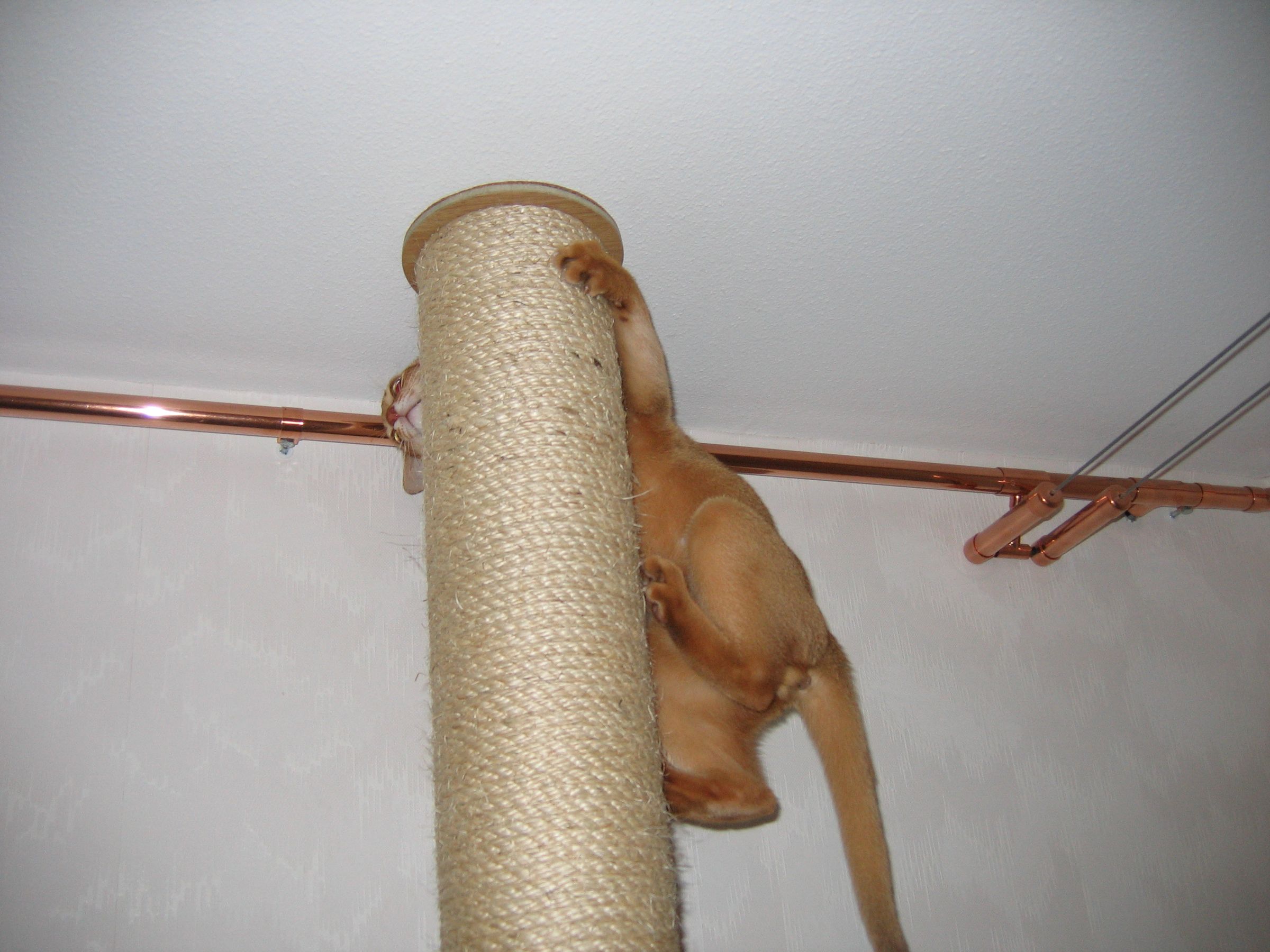 Full Size Cat Scratching / Climbing Post : 7 Steps - Instructables