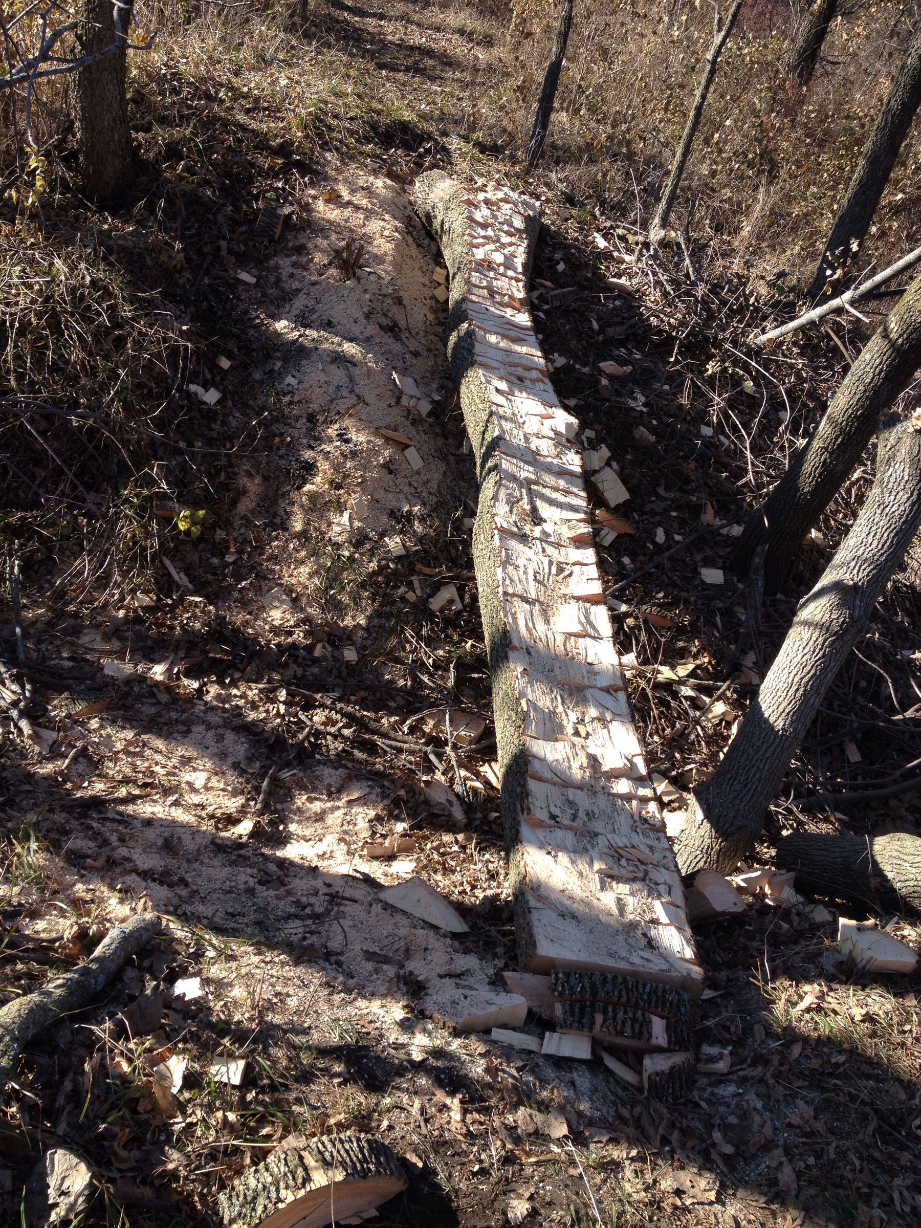 How to Make a Mountain Bike Bridge : 4 Steps - Instructables