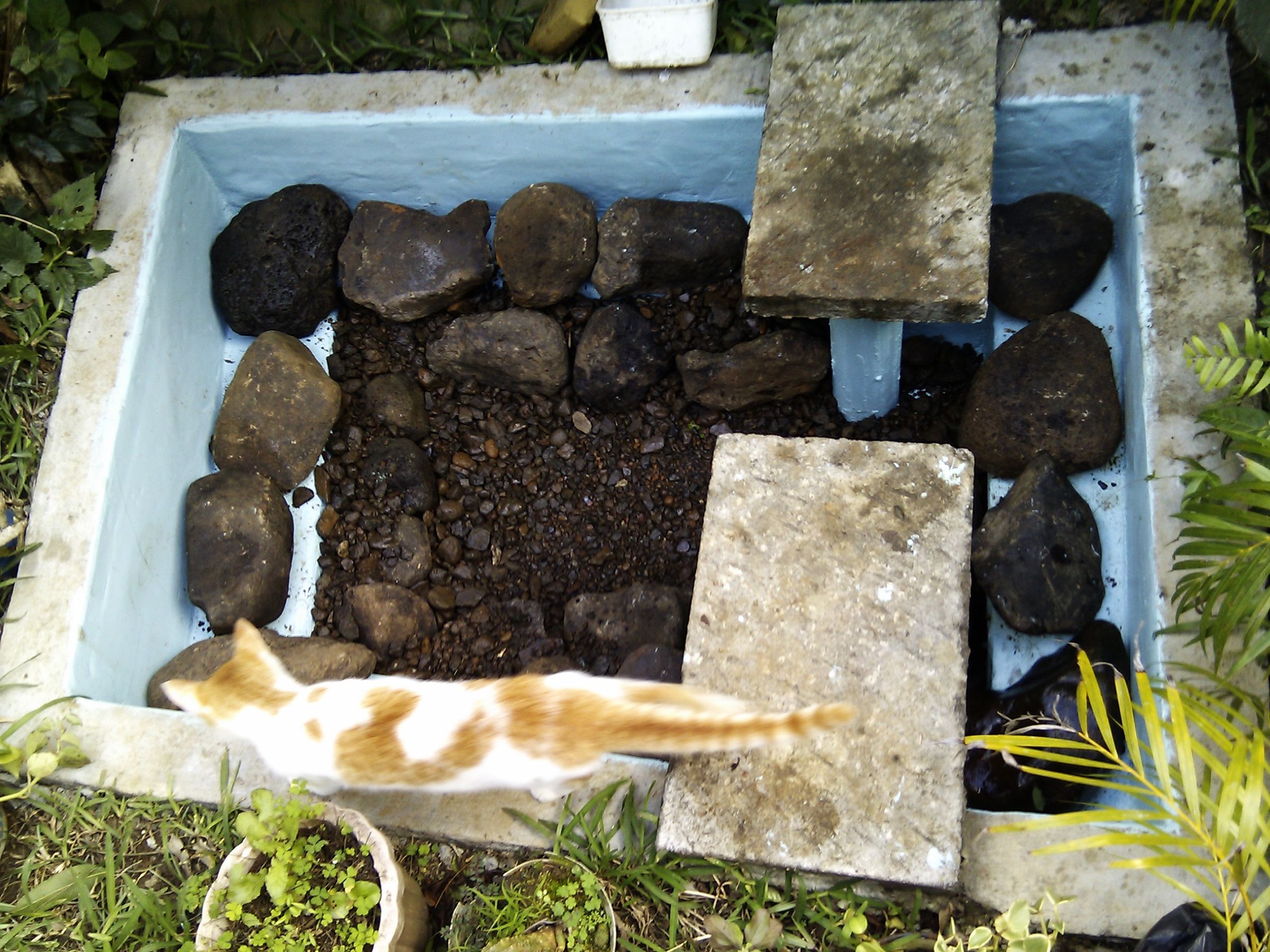 Concrete Pond : 9 Steps (with Pictures) - Instructables
