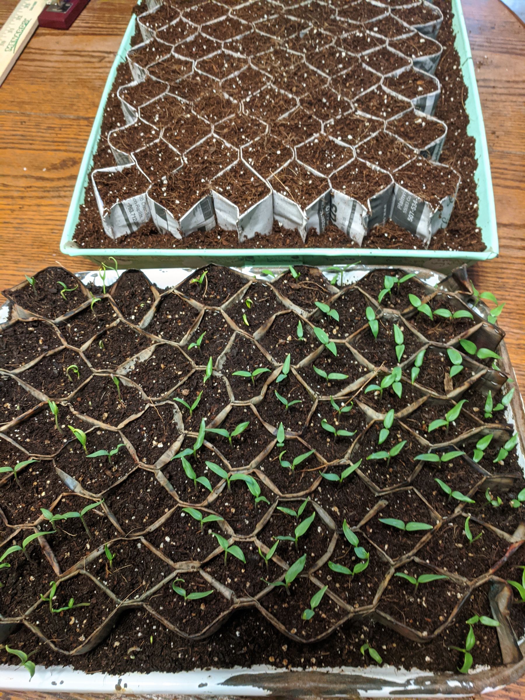 Seedling Tray Insert : 9 Steps (with Pictures) - Instructables