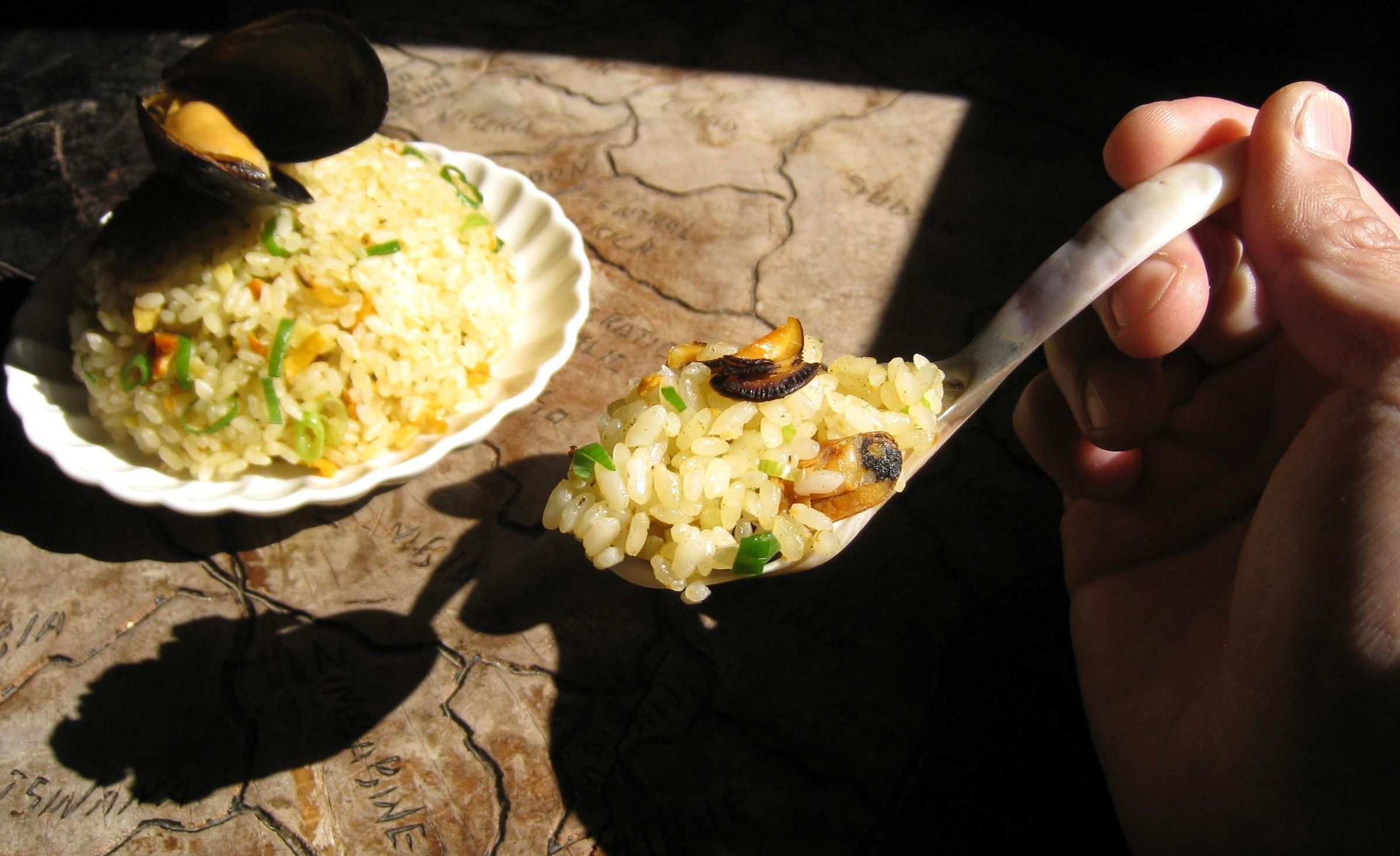 Chinese Soup Spoon Making Out of Mussel : 6 Steps - Instructables