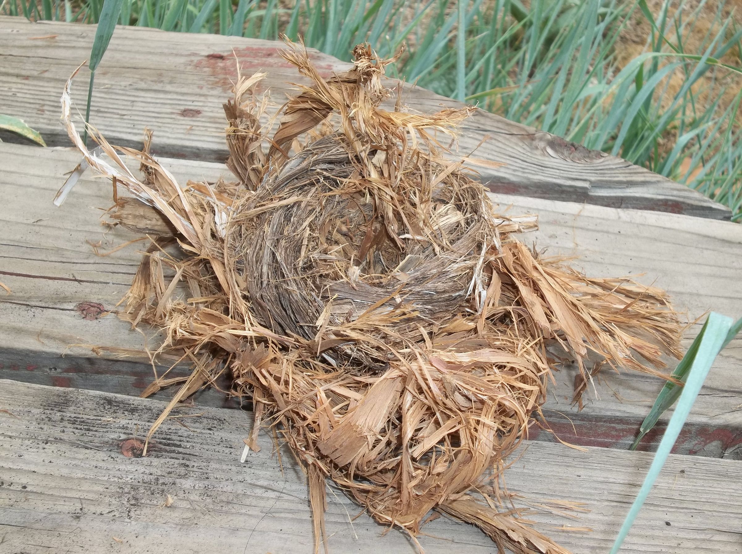 Primitive Fire Starting: the Bow Drill : 9 Steps (with Pictures ...