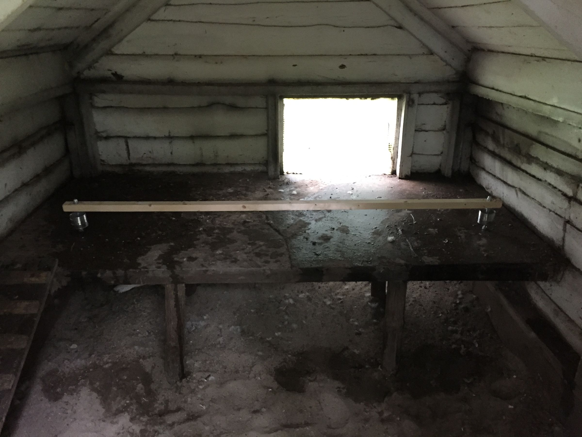 Chicken Roost Parasite Free : 5 Steps (with Pictures) - Instructables