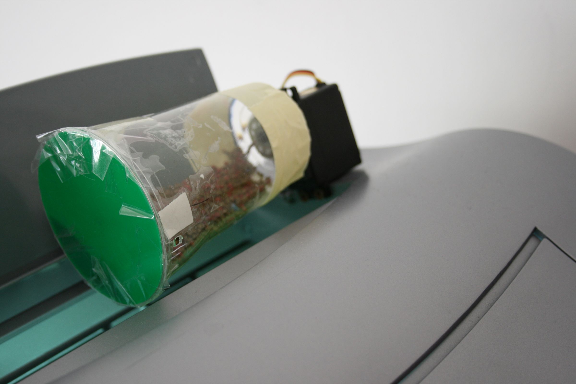 FOOF FOR FISH EXPERIMENT - Instructables