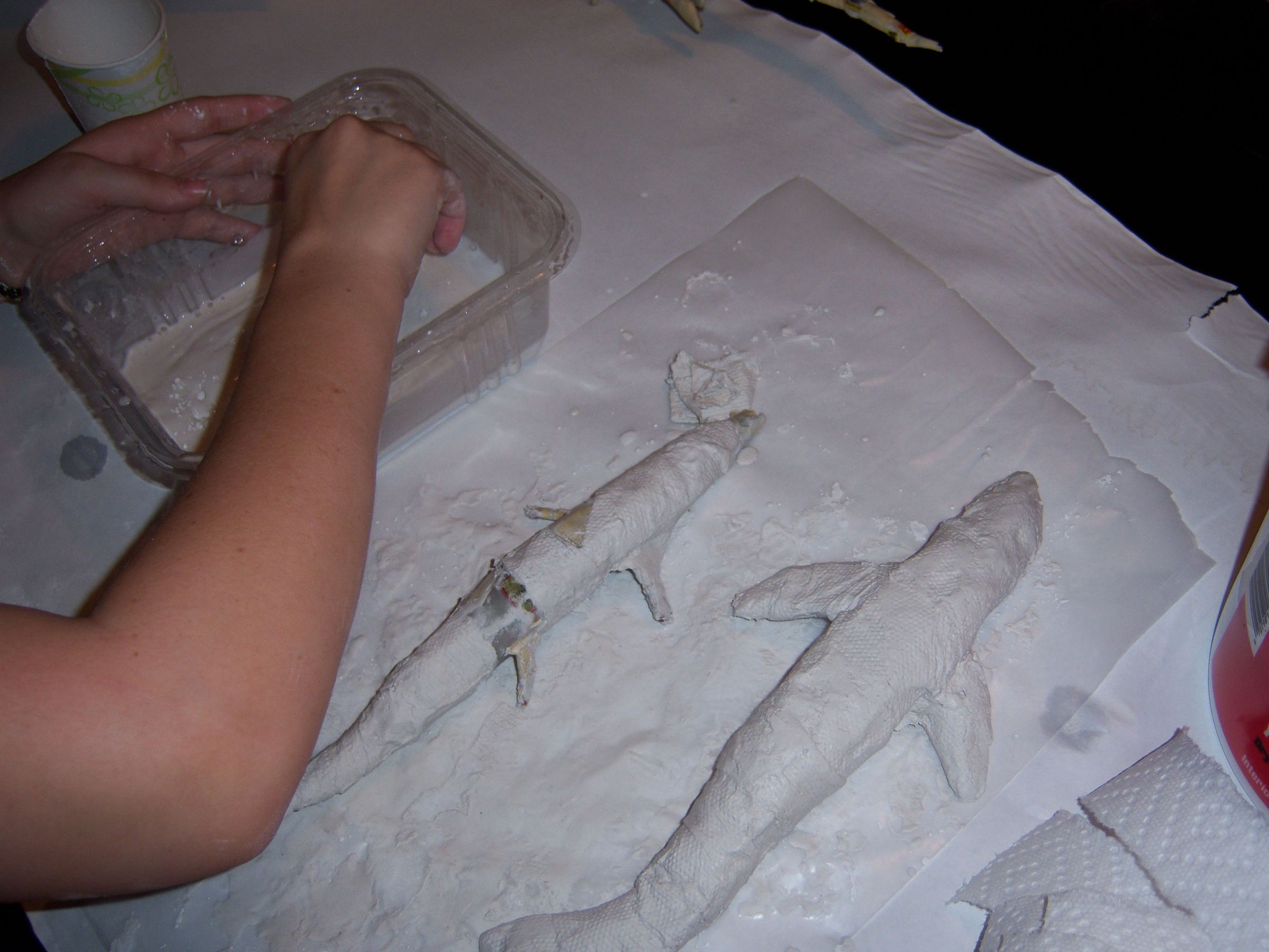 Plaster Models for School Project ("Plaster- Mache") : 7 Steps ...