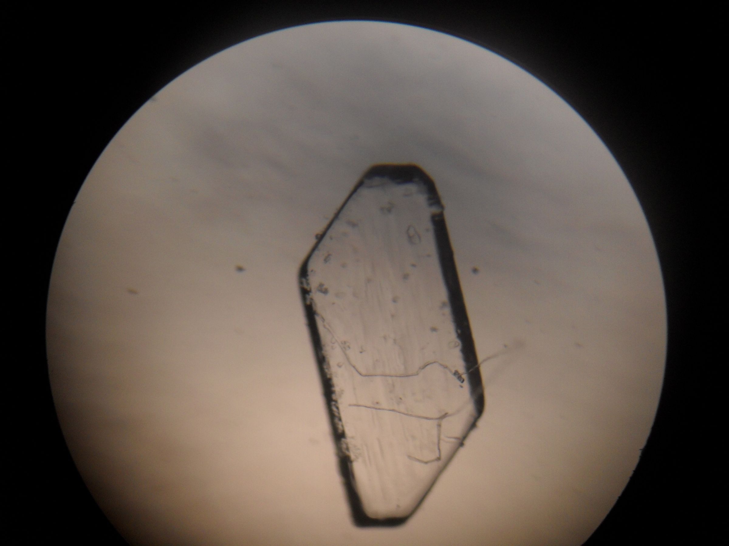 How to Grow Great Crystals : 14 Steps (with Pictures) - Instructables