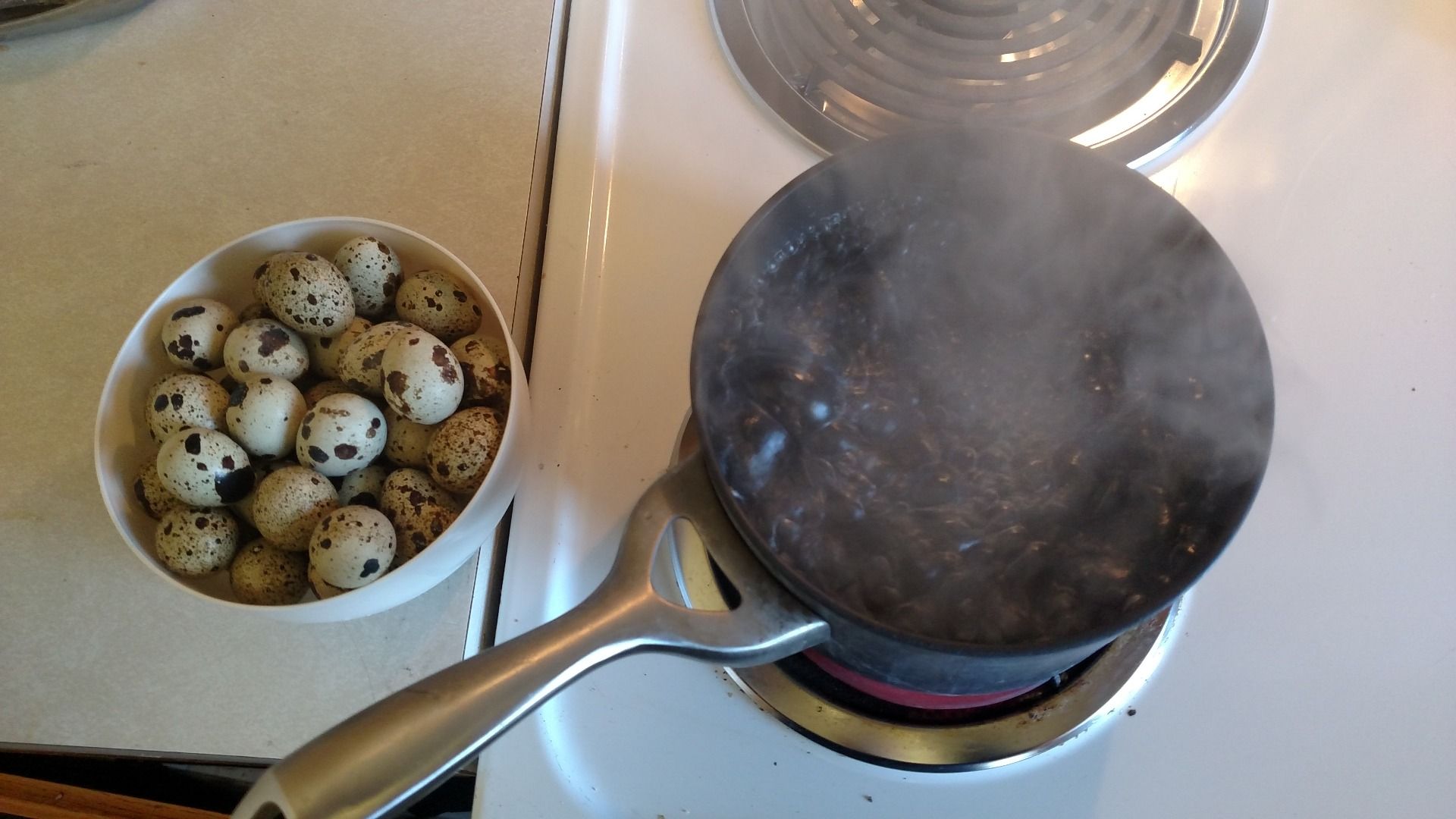 Quail Egg Brunch Bites : 4 Steps (with Pictures) - Instructables