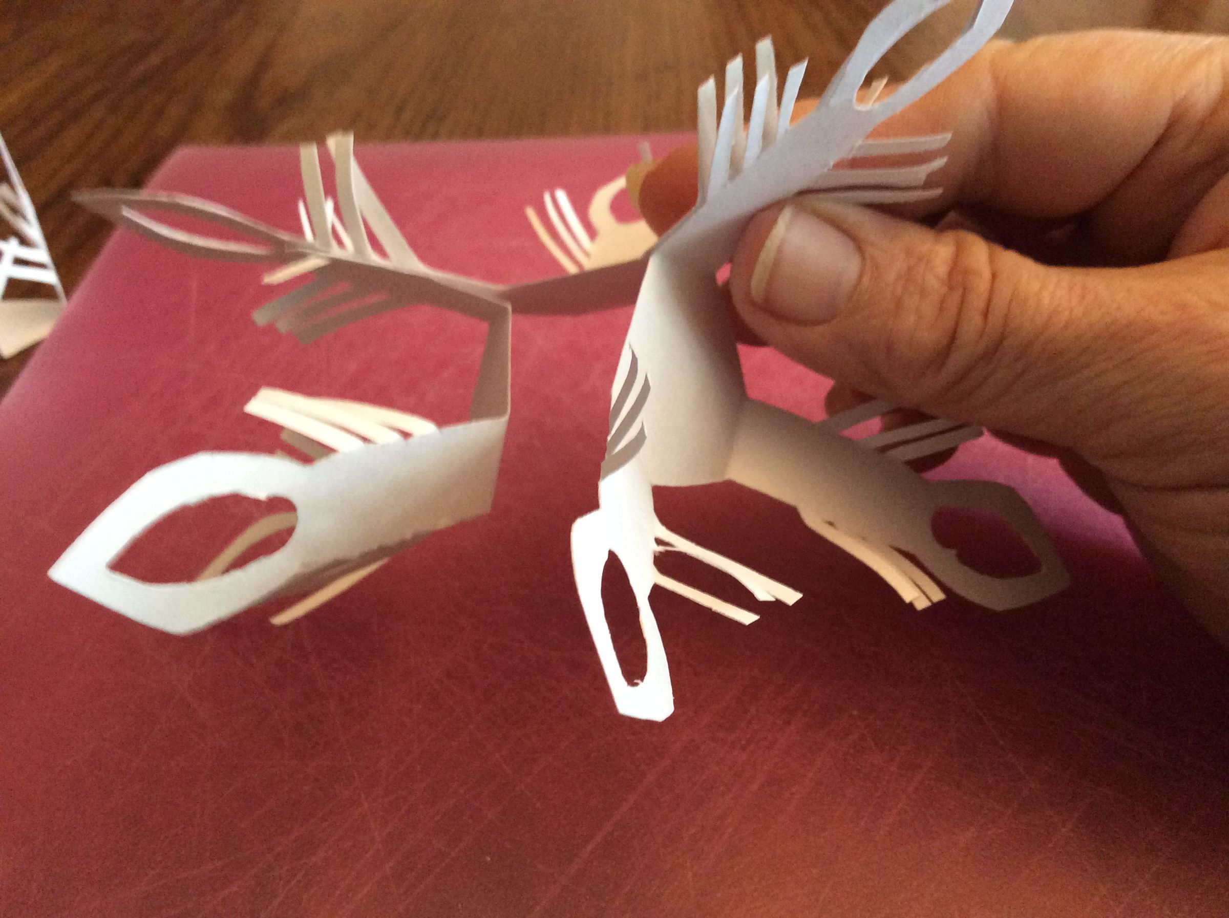 3 D Paper Snow Decoration : 7 Steps (with Pictures) - Instructables