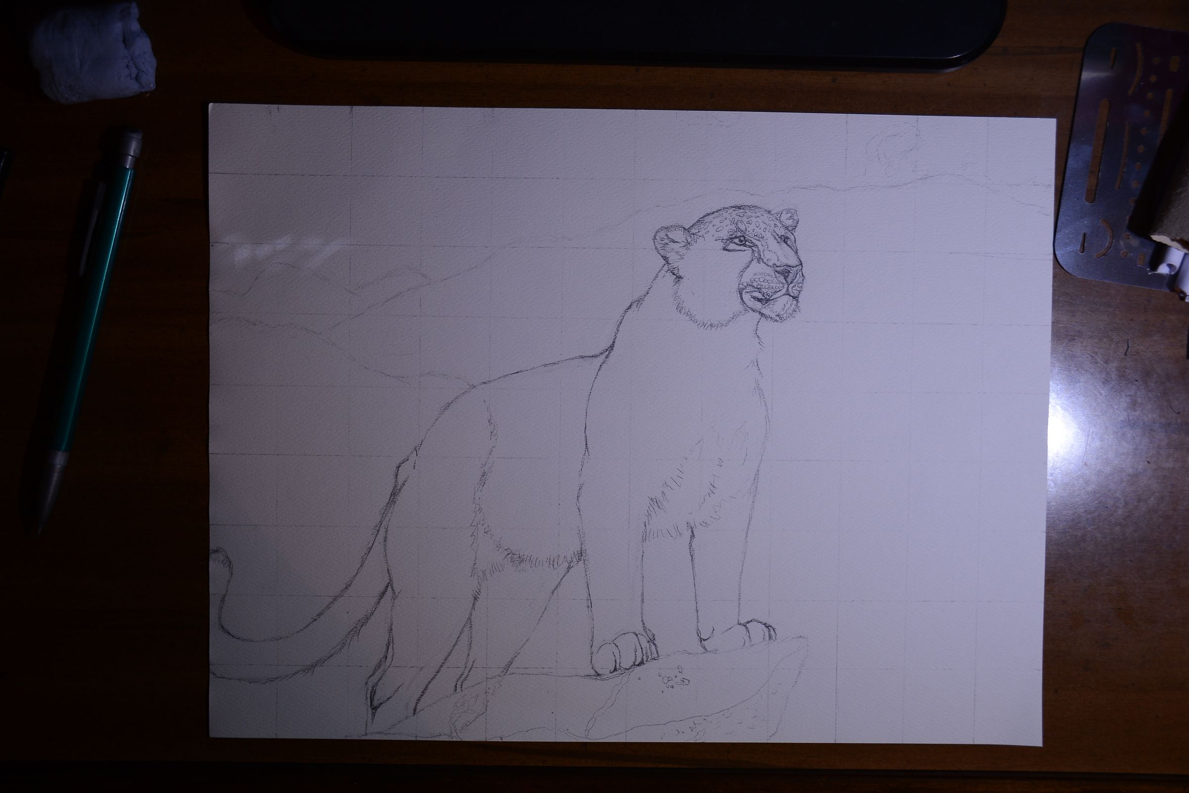 How to Draw an Amur Leopard on Pastel Paper : 5 Steps - Instructables