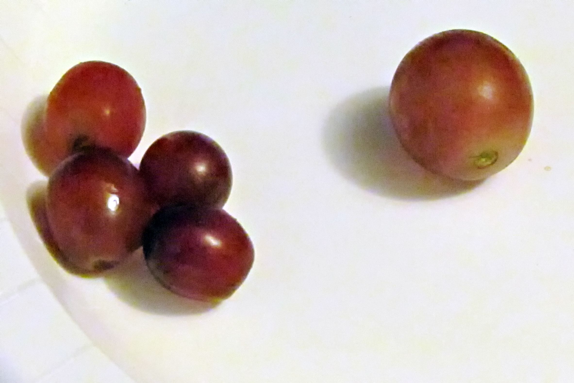 Plasma Grape!!! : 4 Steps (with Pictures) - Instructables