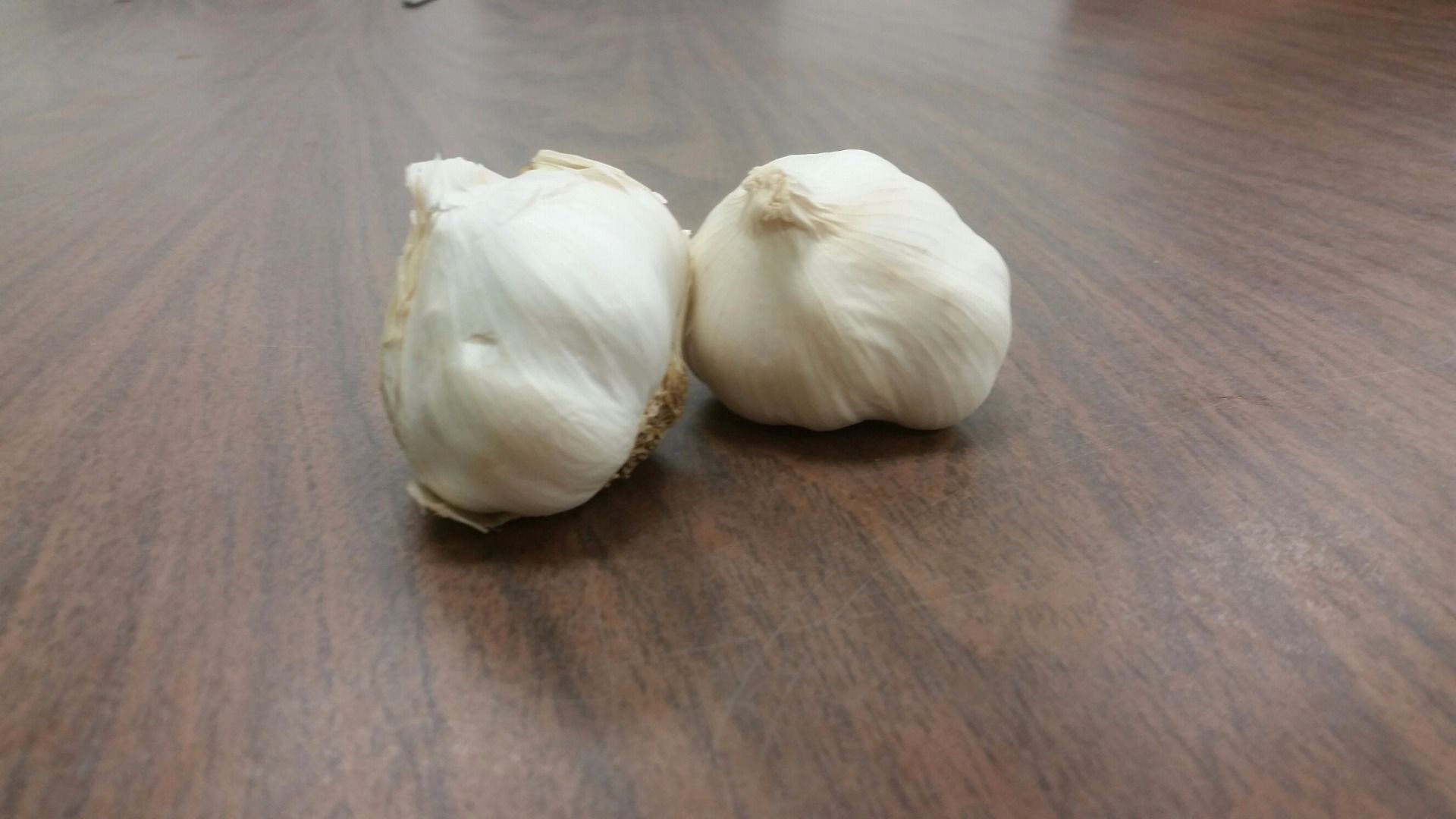 How to Regrow Garlic : 10 Steps - Instructables