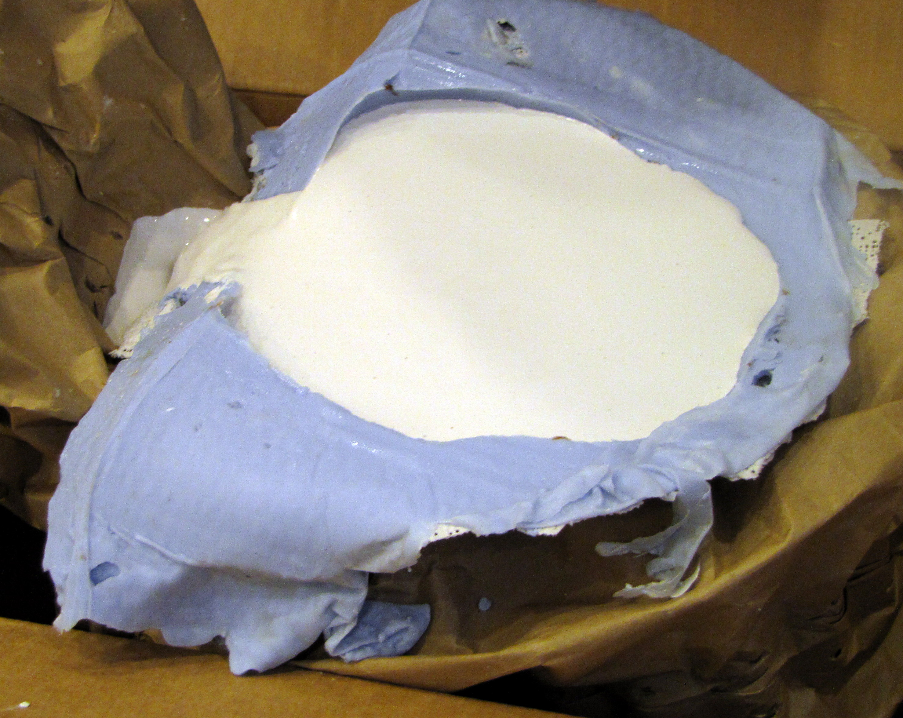 Plaster Face Cast : 15 Steps (with Pictures) - Instructables