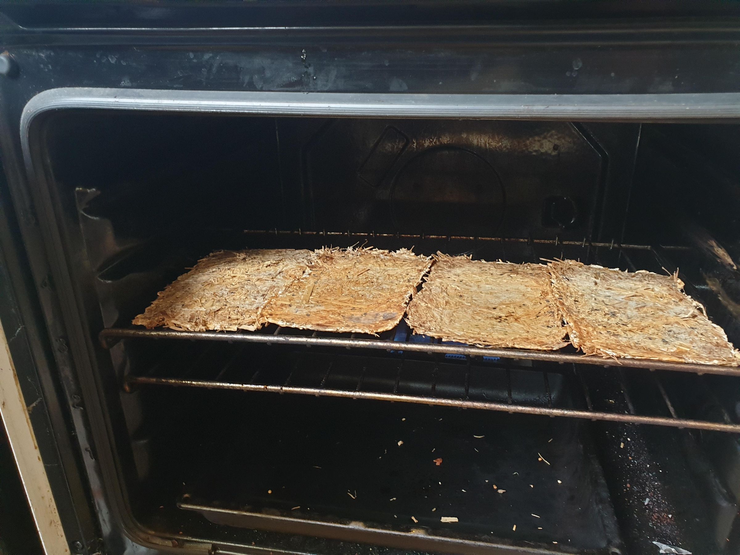 Growing Mycelium Materials at Home : 6 Steps - Instructables