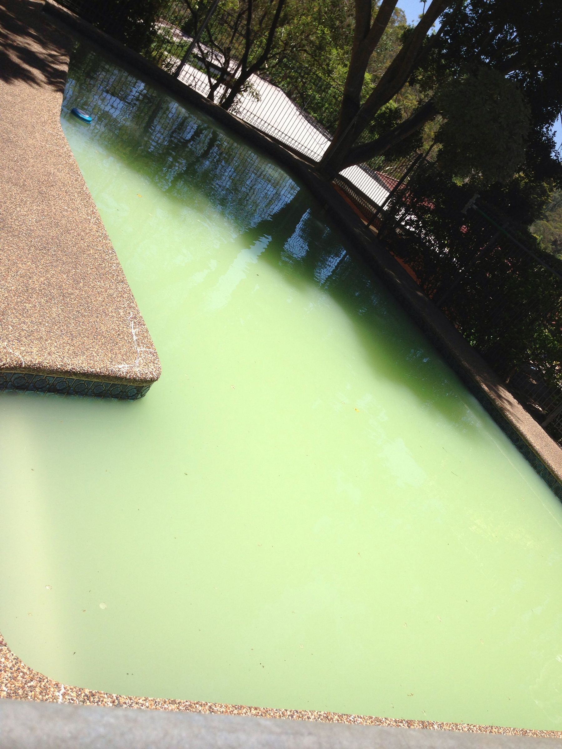 How to Turn a Green Pool to Blue : 6 Steps - Instructables