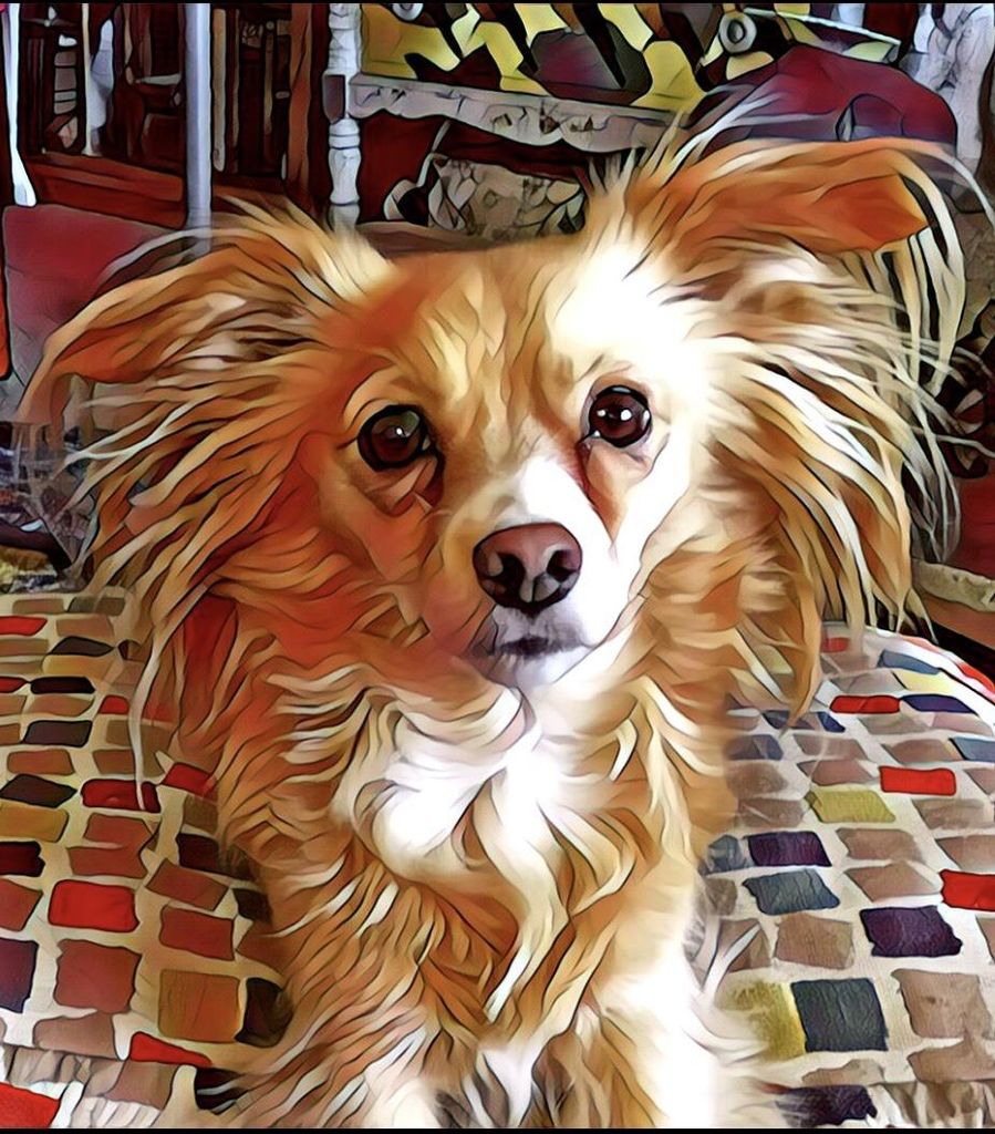 My Pet Dog Doll : 21 Steps (with Pictures) - Instructables