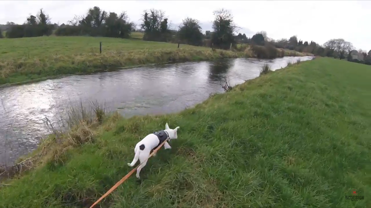 How to Make a Live Edge Pen / the No Lathe Challenge : 7 Steps (with ...