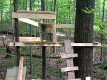 My Tree Fort : 6 Steps - Instructables