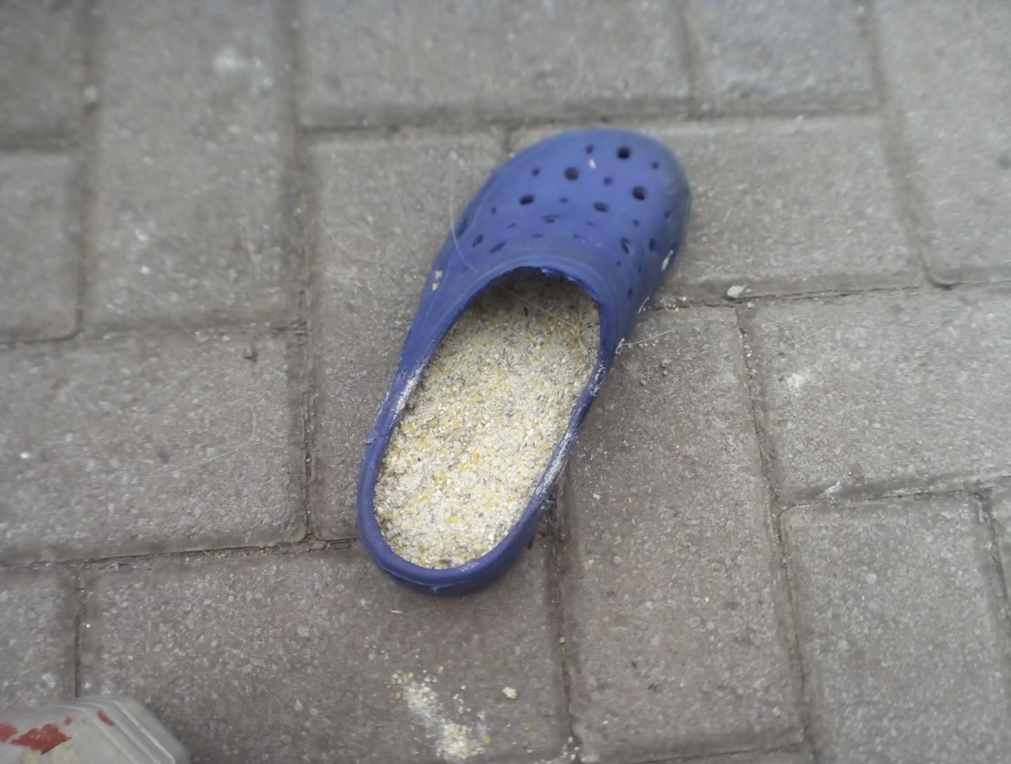 How to Make a Bird Feeder Out of a Shoe DIY : 3 Steps - Instructables