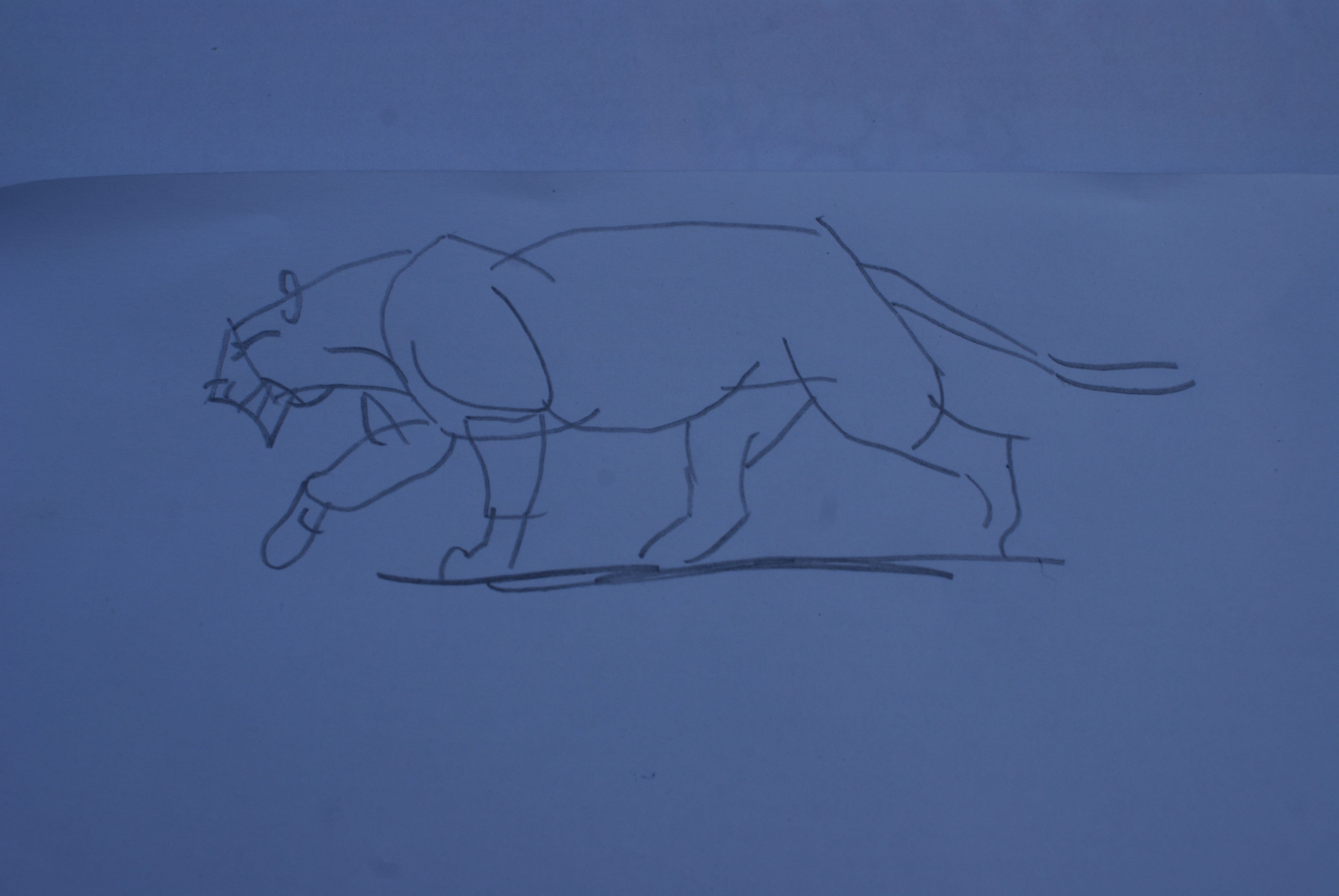 Drawing a Leopard : 10 Steps - Instructables