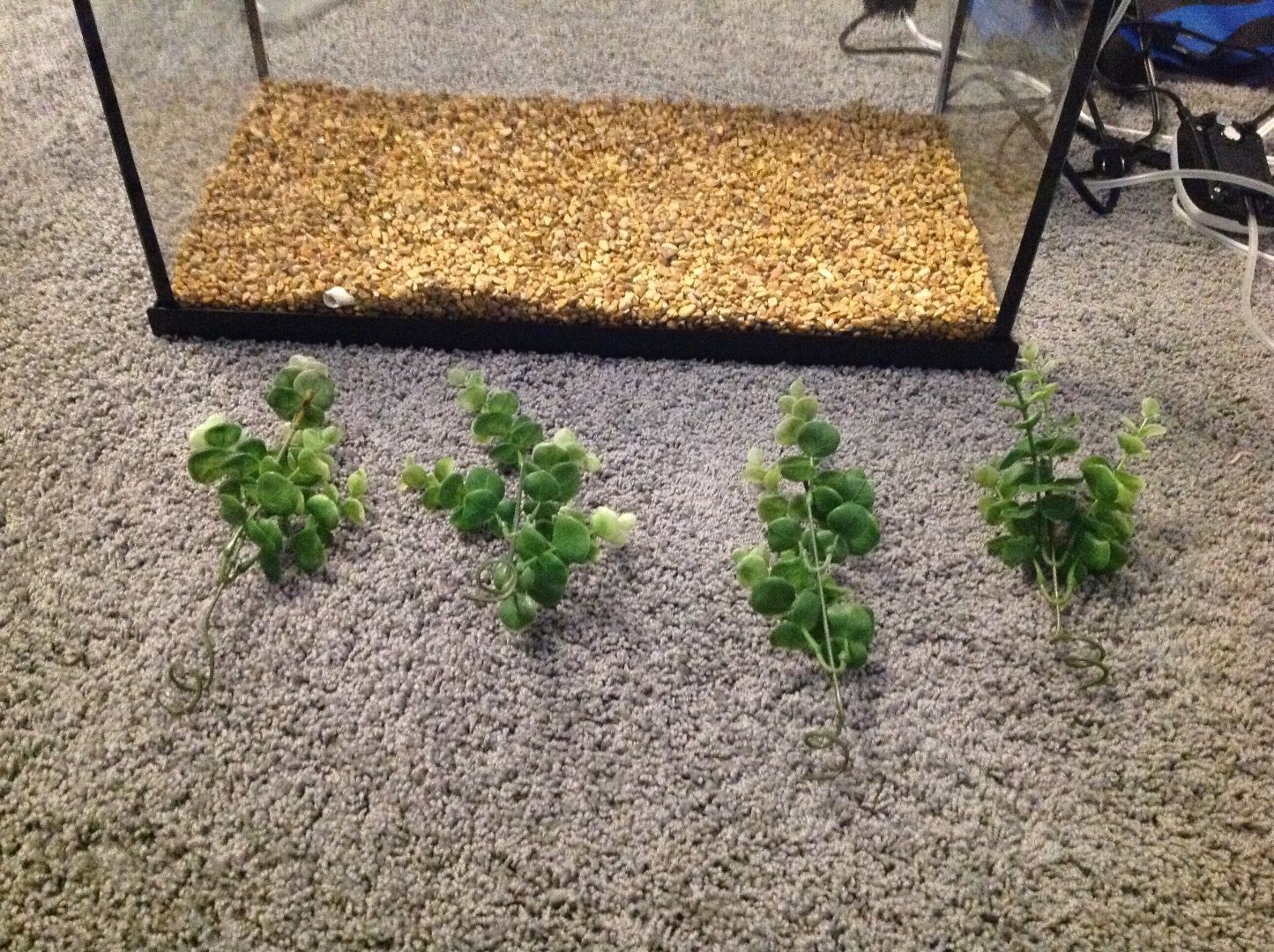 DIY: How to Set Up a Fish Tank : 9 Steps (with Pictures) - Instructables