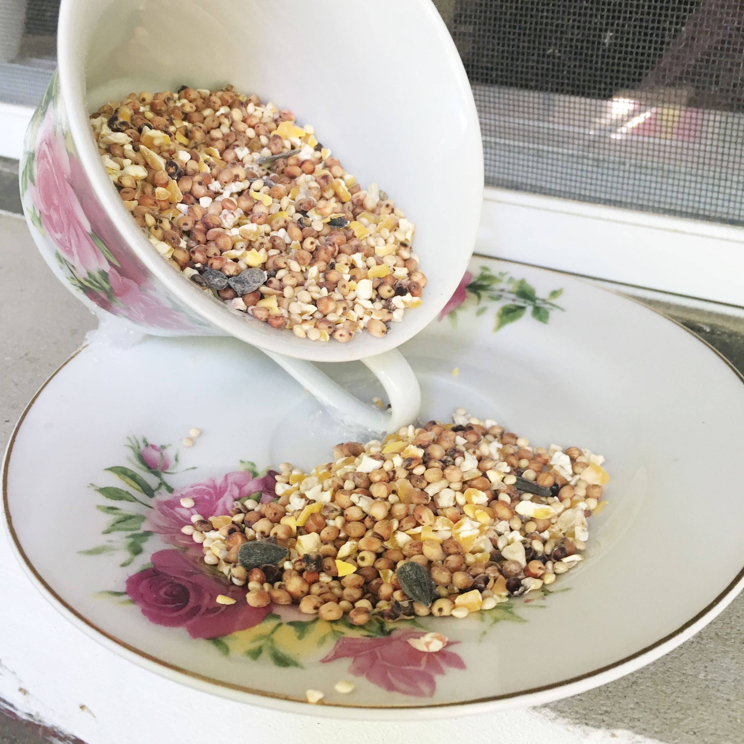 Tea Cup Bird Feeder : 6 Steps (with Pictures) - Instructables