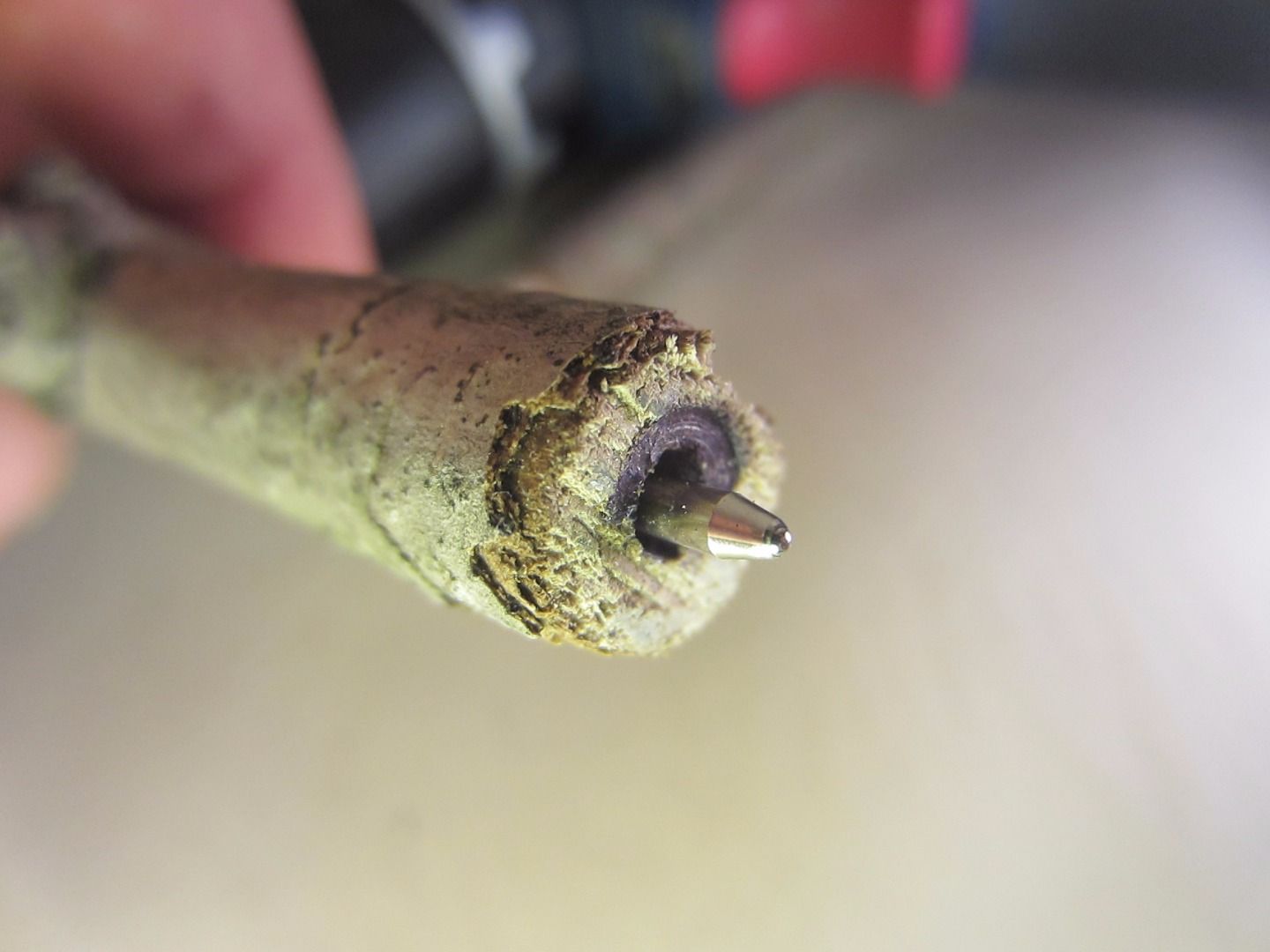 How to Make a Twig Pen : 3 Steps (with Pictures) - Instructables