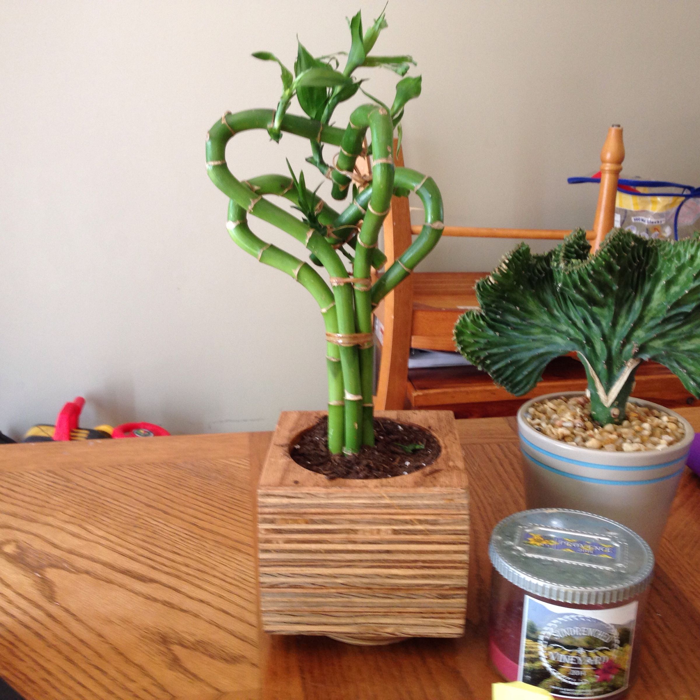 Wooden Flower Pot : 14 Steps (with Pictures) - Instructables