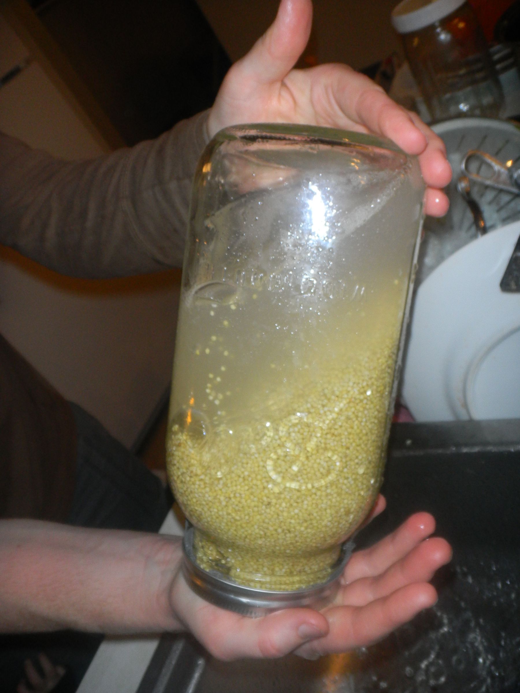 Sprout Quinoa : 4 Steps (with Pictures) - Instructables