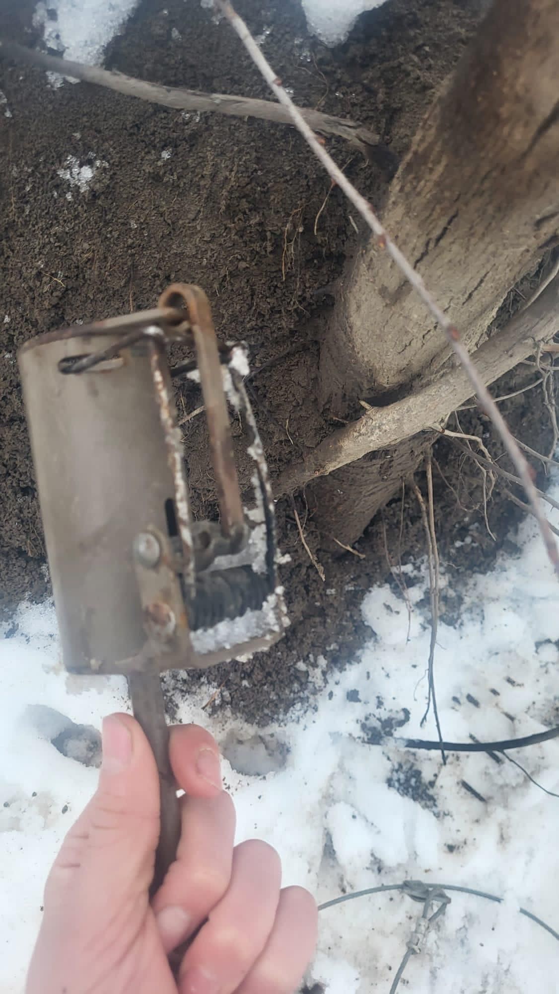 Trapping 101 : 4 Steps - Instructables