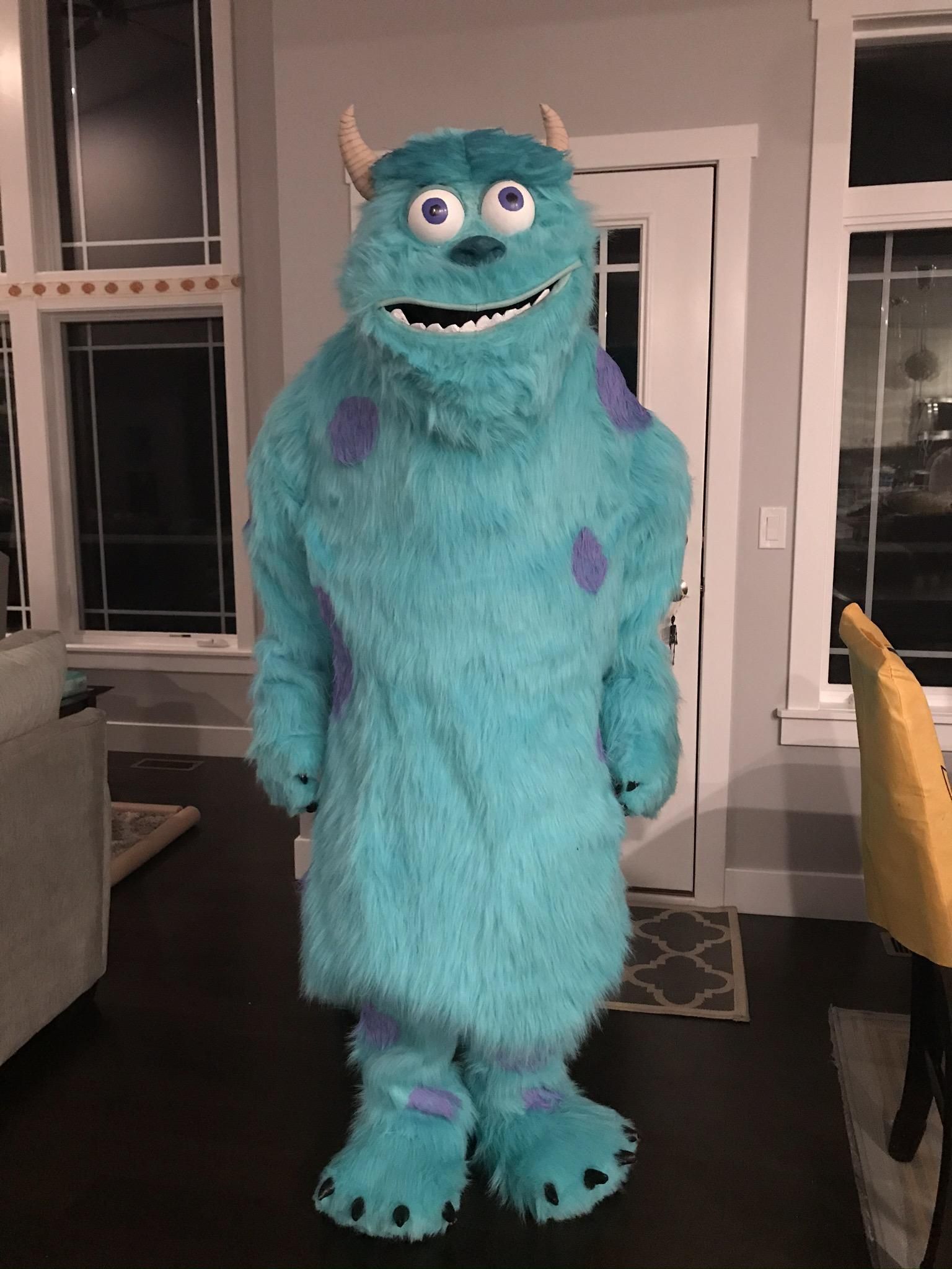 Sulley (Trademark Disney) Monster Homemade Halloween Costume : 11 Steps ...