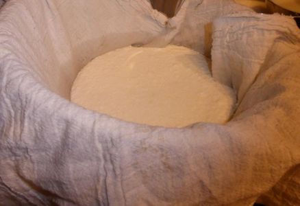 Crowdie: an Easy to Make, Traditional Scottish Cheese : 6 Steps ...