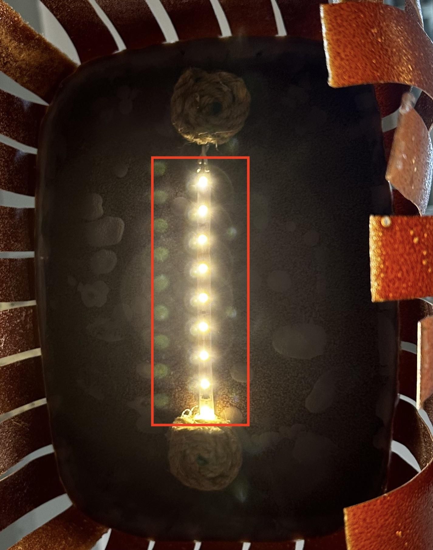 Biodegradable Plastic Luminaire : 16 Steps (with Pictures) - Instructables